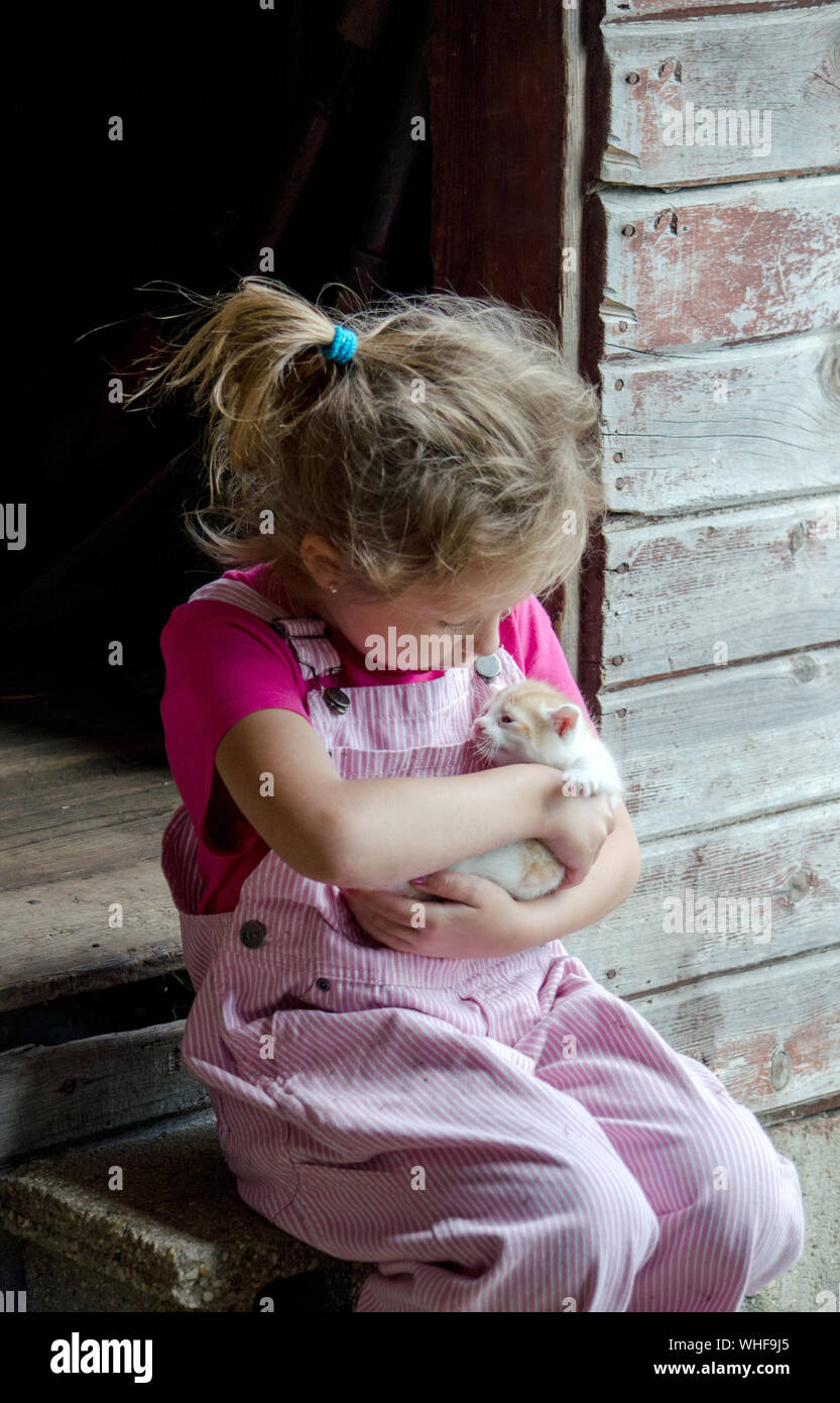 Kitten on steps hi-res stock photography and images - Alamy
