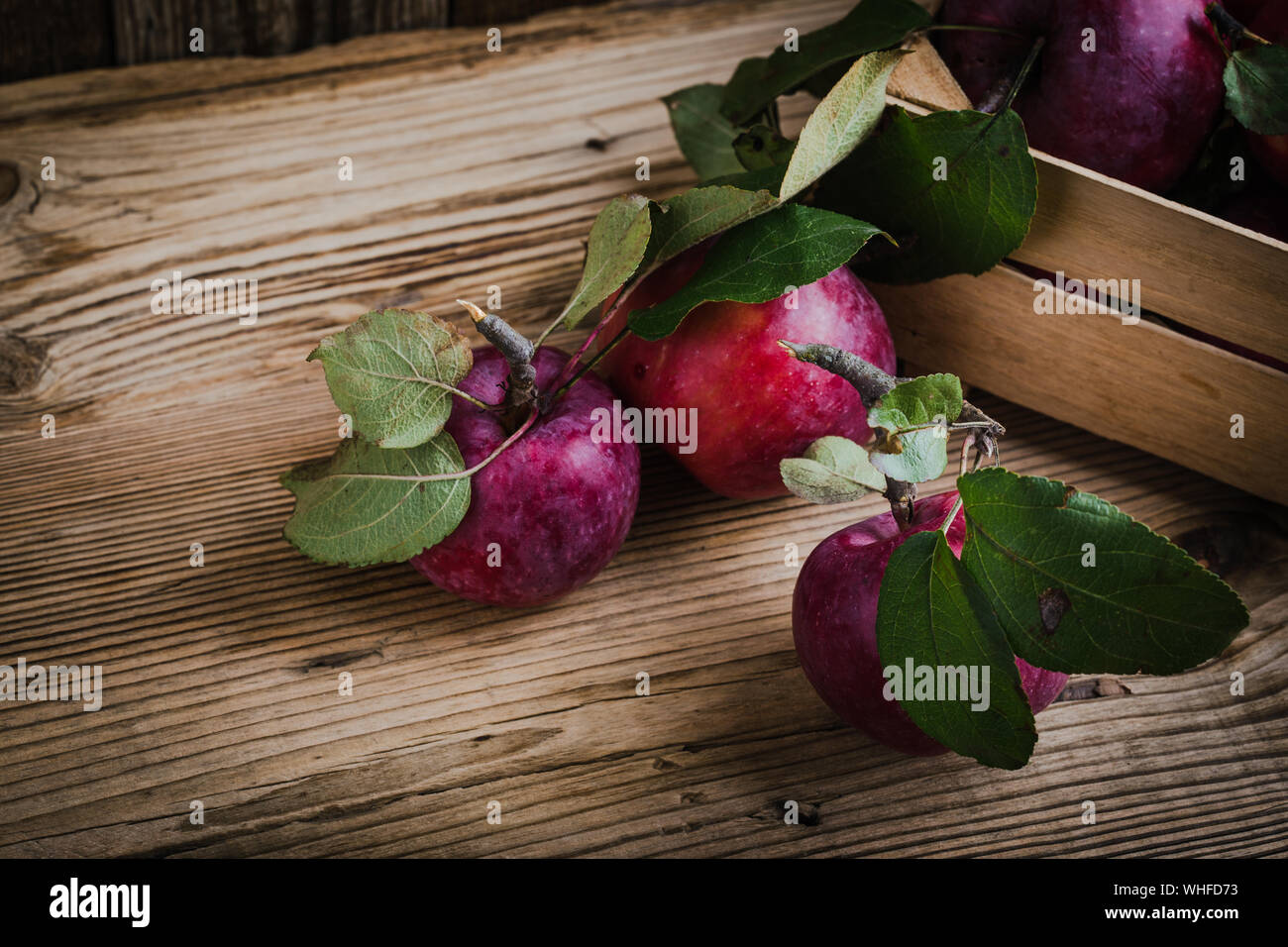 Autumn red apples with leaves in wooden crate on rustic table. Freshly ...