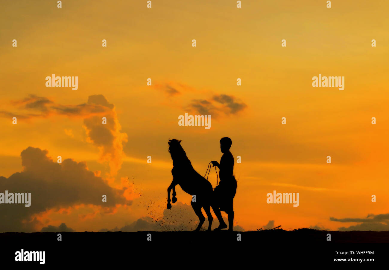 Horse rearing sunset hi-res stock photography and images - Alamy