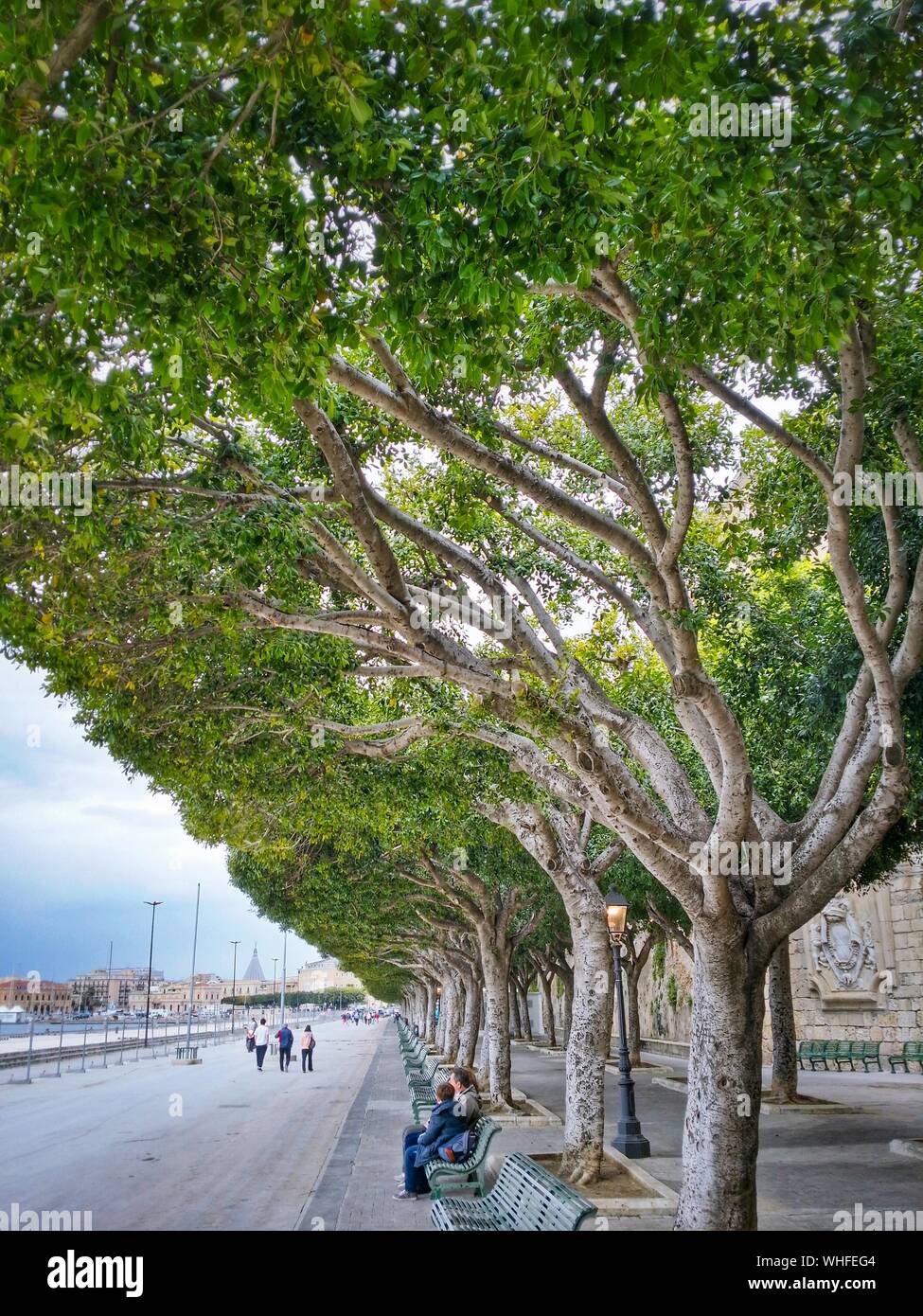Benches and trees hi-res stock photography and images - Alamy