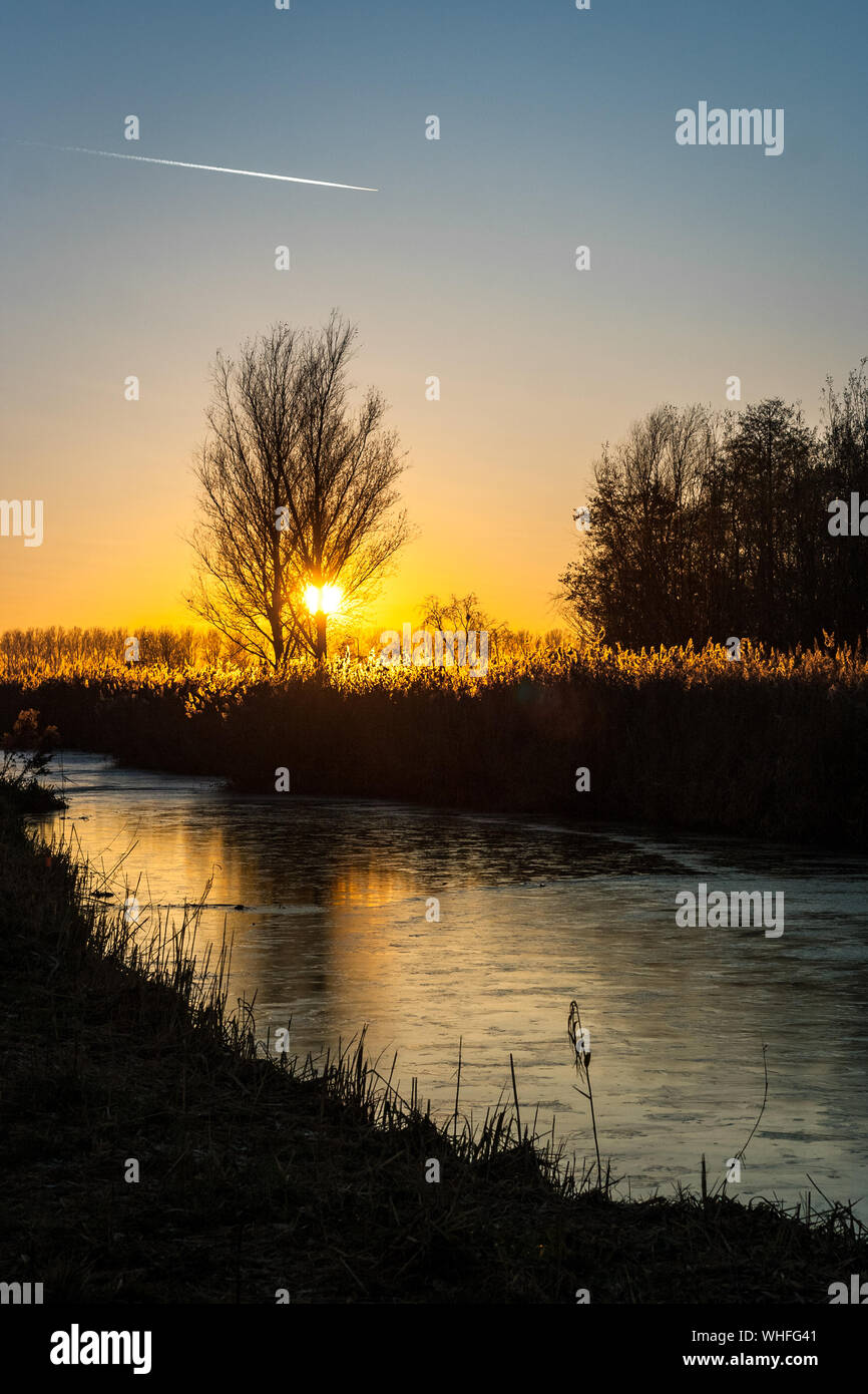 The sun sets behind a tree over the dutch countryside. The water in the ...