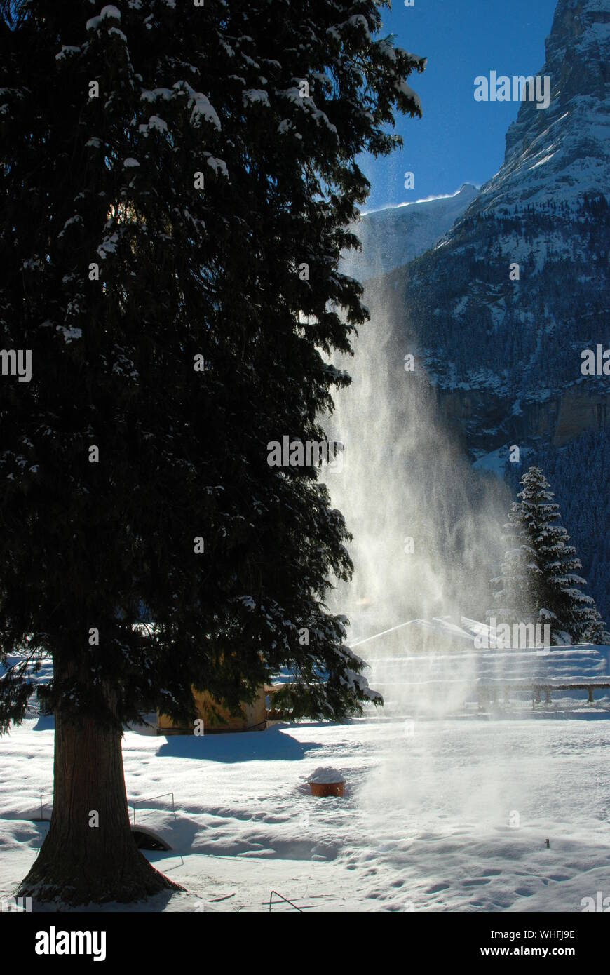Tree snow falling hi-res stock photography and images - Alamy