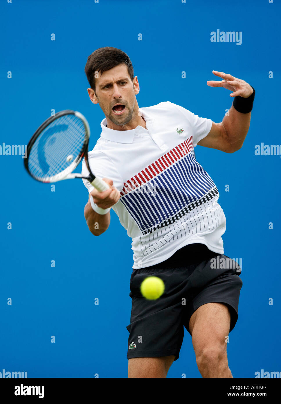 Novak djokovic forehand hi-res stock photography and images - Alamy Novak djokovic forehand hi-res stock photography and images - Alamy