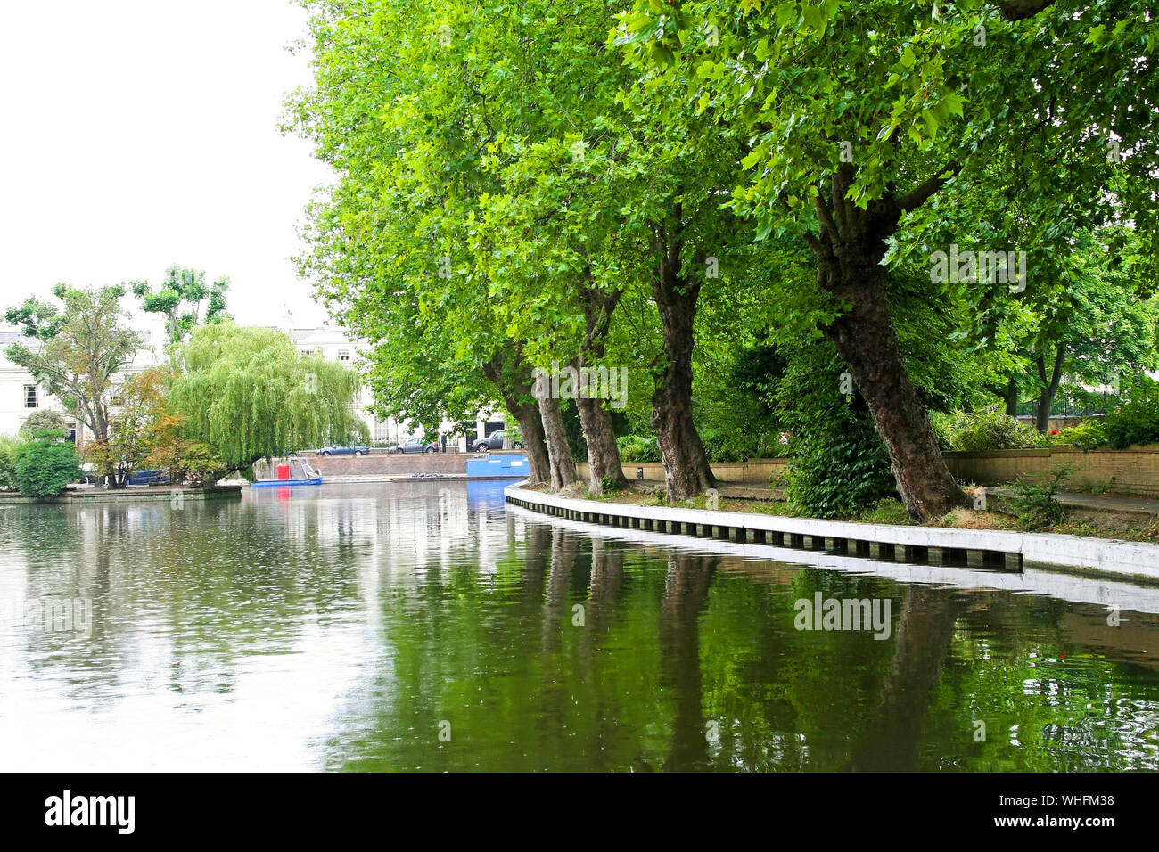 River bank with trees hi-res stock photography and images - Alamy