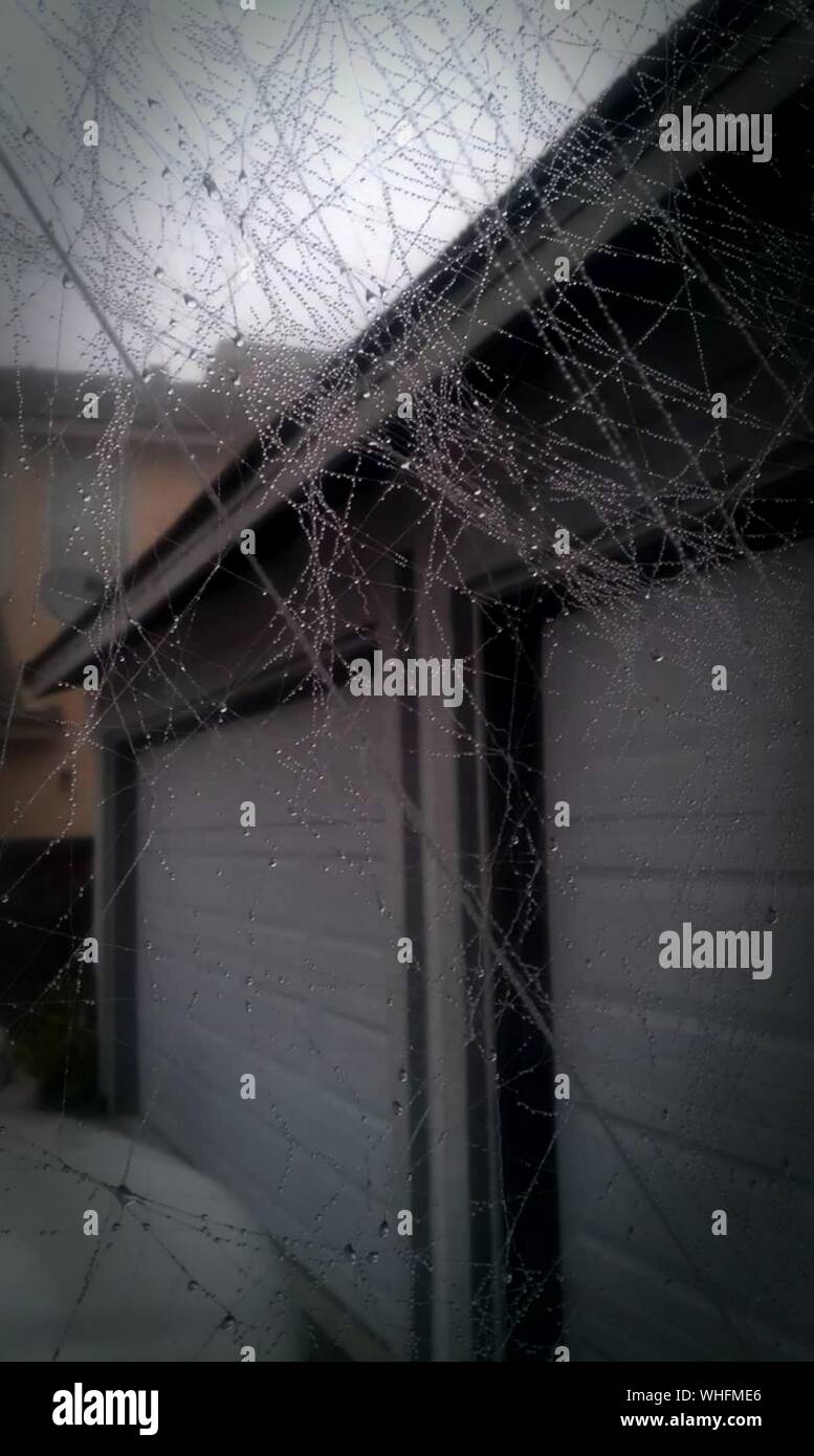 Tangled spider web hi-res stock photography and images - Alamy
