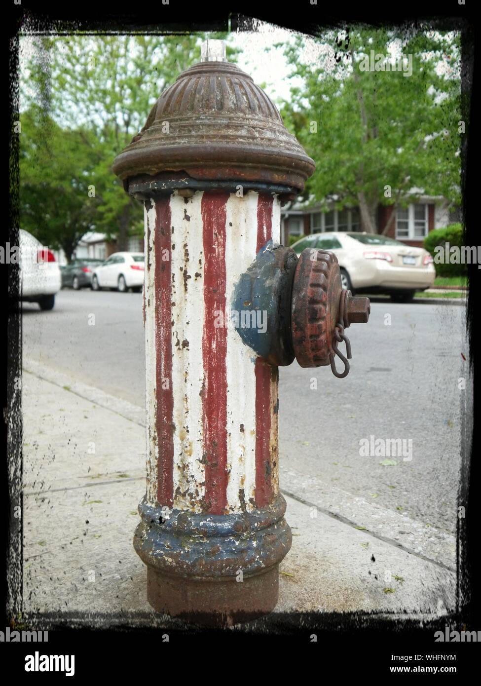 Fire hydrant with tree hi-res stock photography and images - Alamy