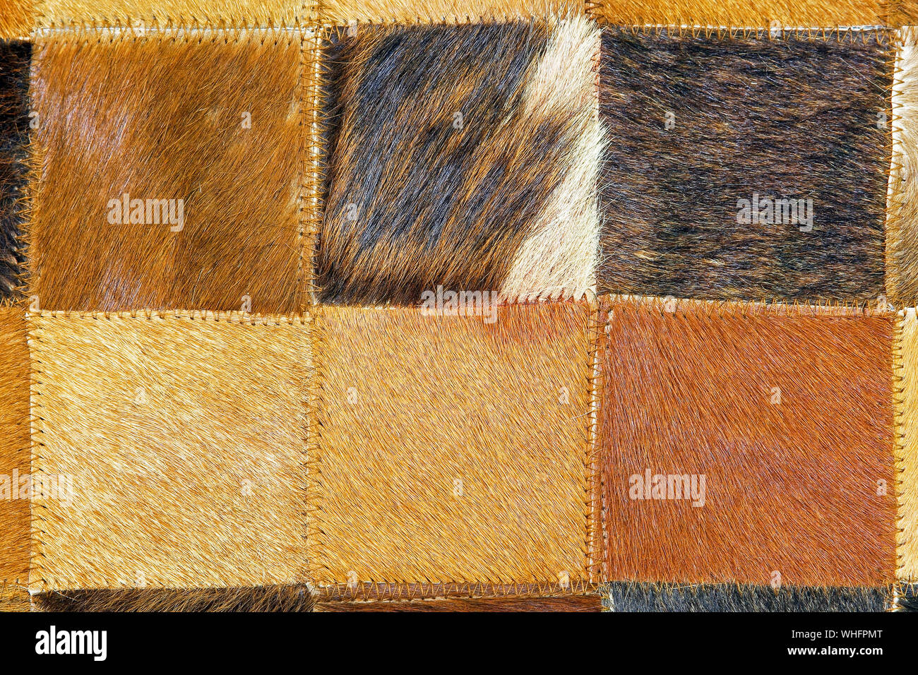 Cow hide texture hi-res stock photography and images - Alamy