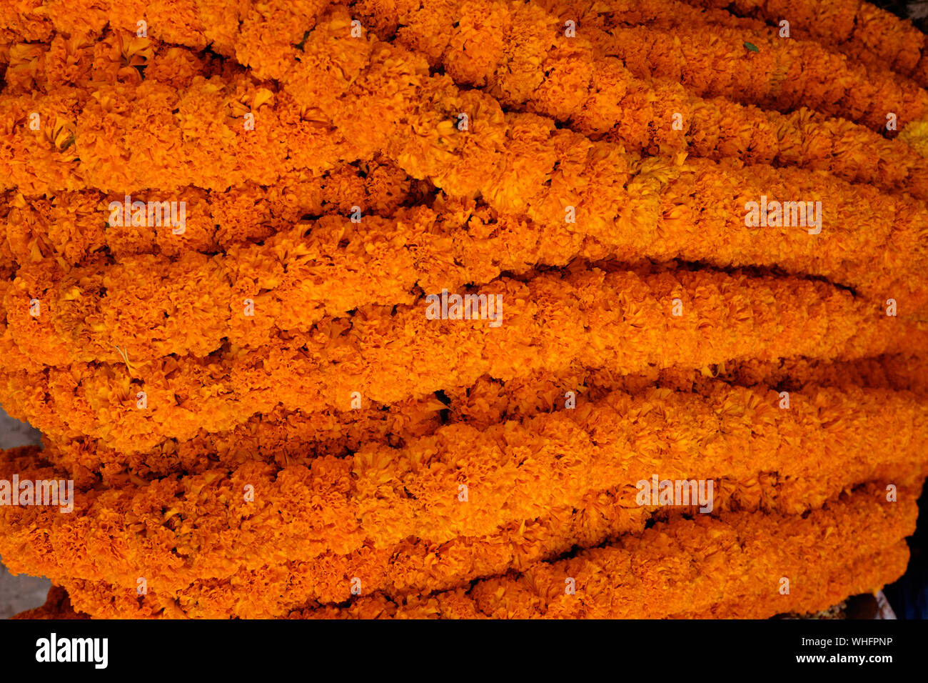 Group of garland hi-res stock photography and images - Alamy