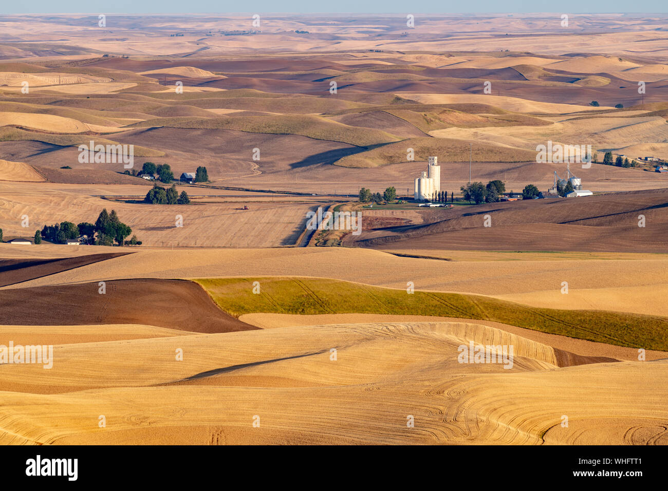 Golden wheat fields of harvest season in the Palouse Stock Photo - Alamy