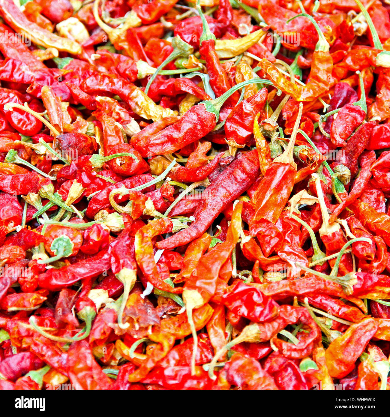 Pile of dried red hot chilly peppers Stock Photo - Alamy