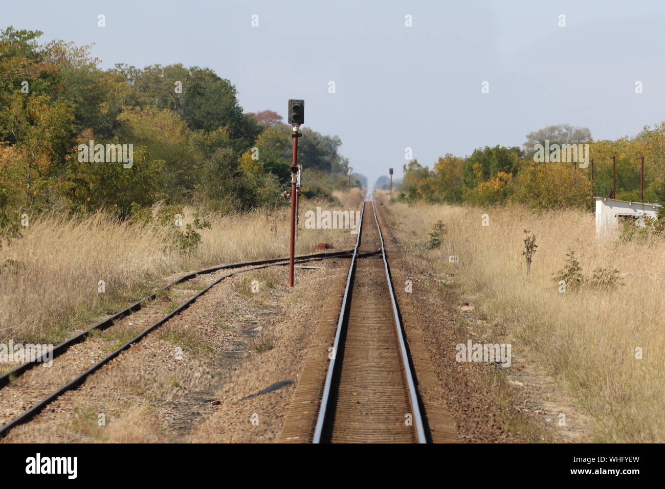 Elephant tracks hi-res stock photography and images - Alamy