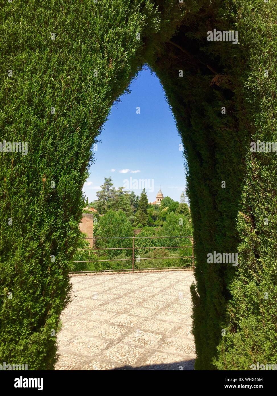 Hedge arch hi-res stock photography and images - Alamy