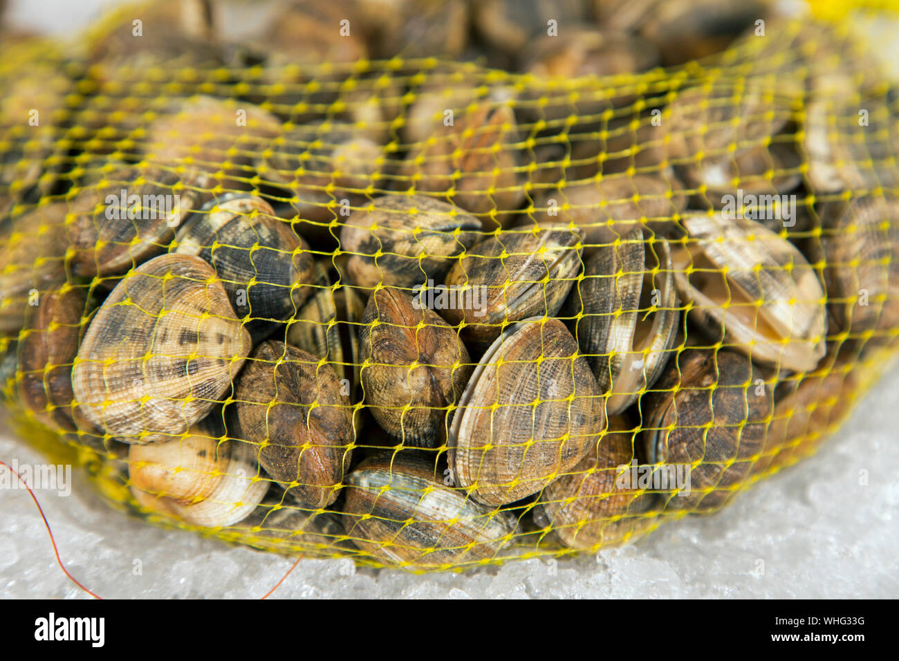 Net cockles hi-res stock photography and images - Alamy