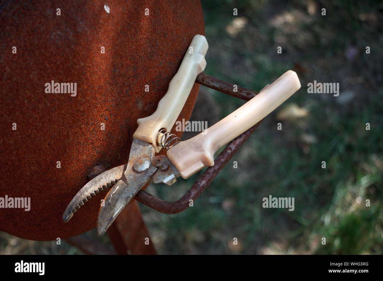 Pruning Knife High Resolution Stock Photography and Images - Alamy