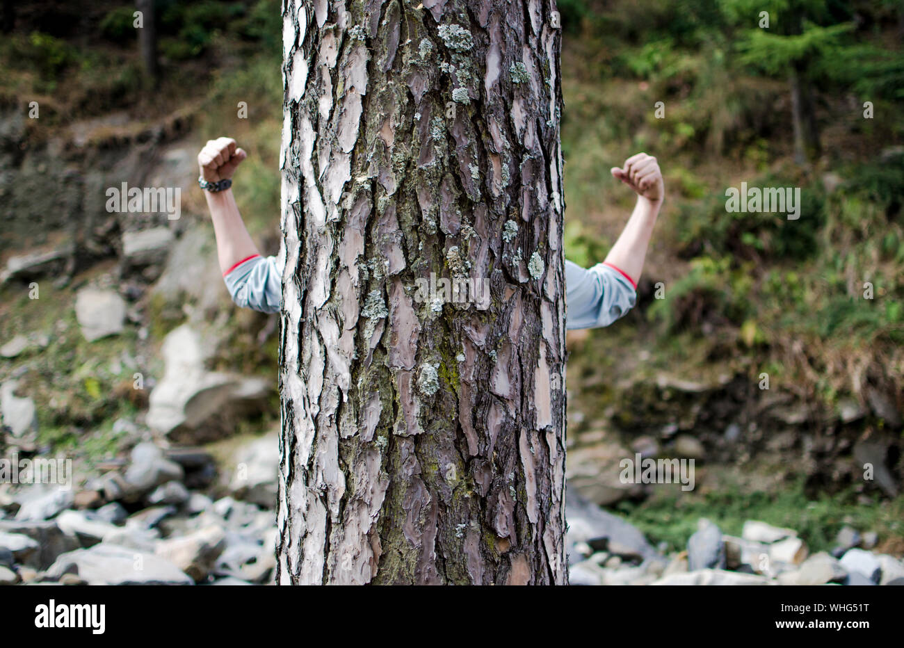 Raised Trunk High Resolution Stock Photography and Images - Alamy
