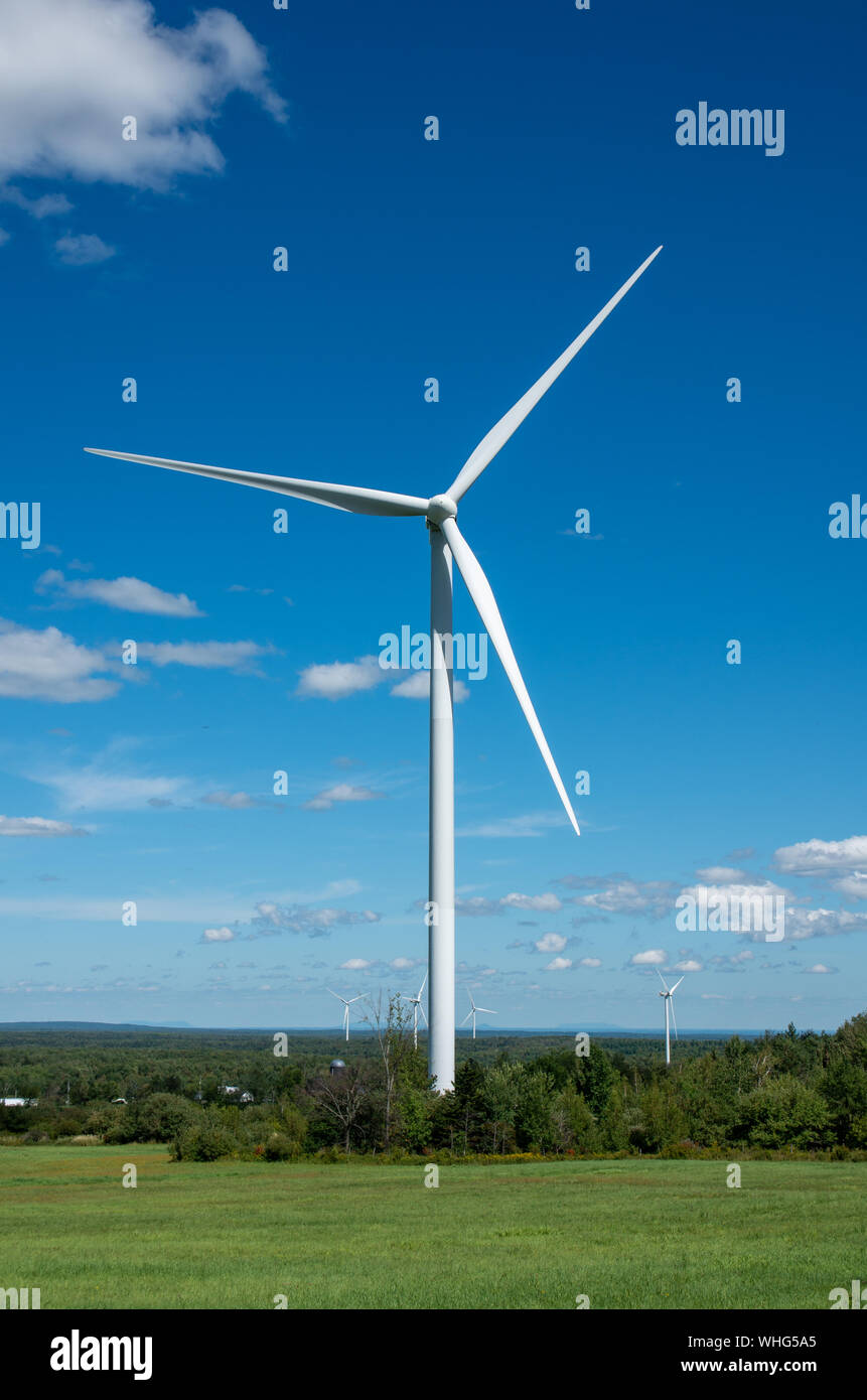Wind turbines at a wind farm with blue sky Stock Photo - Alamy