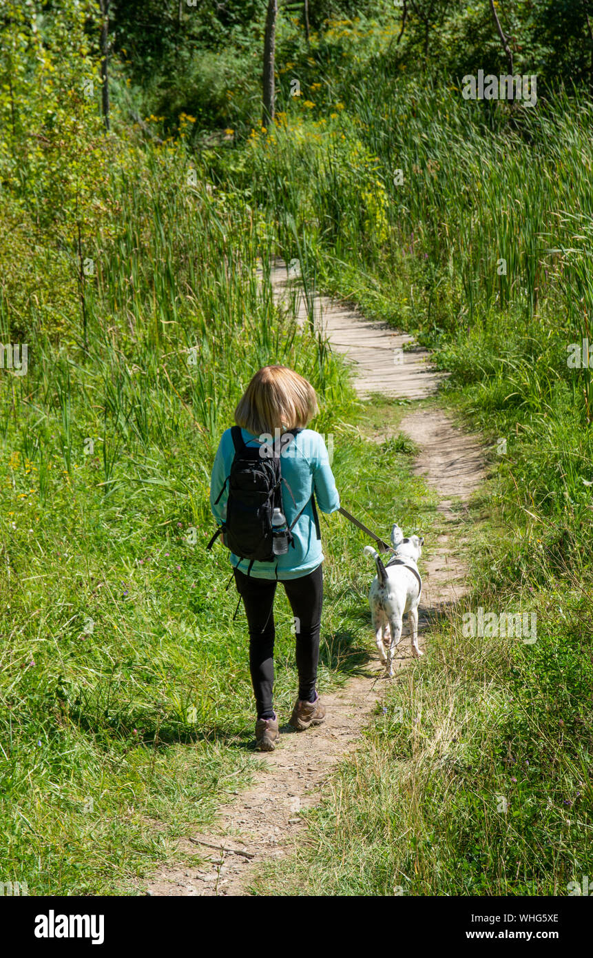 Trail dog and walk hi-res stock photography and images - Alamy