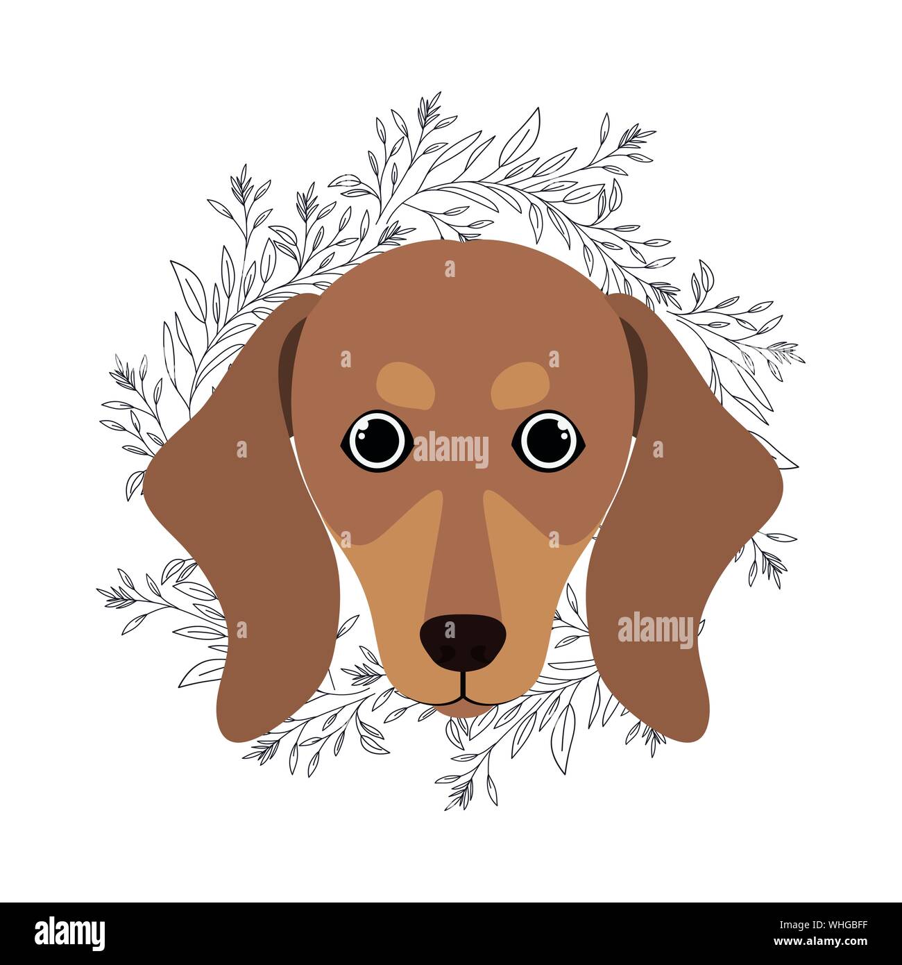 head of cute dachshund dog on white background Stock Vector Image & Art ...