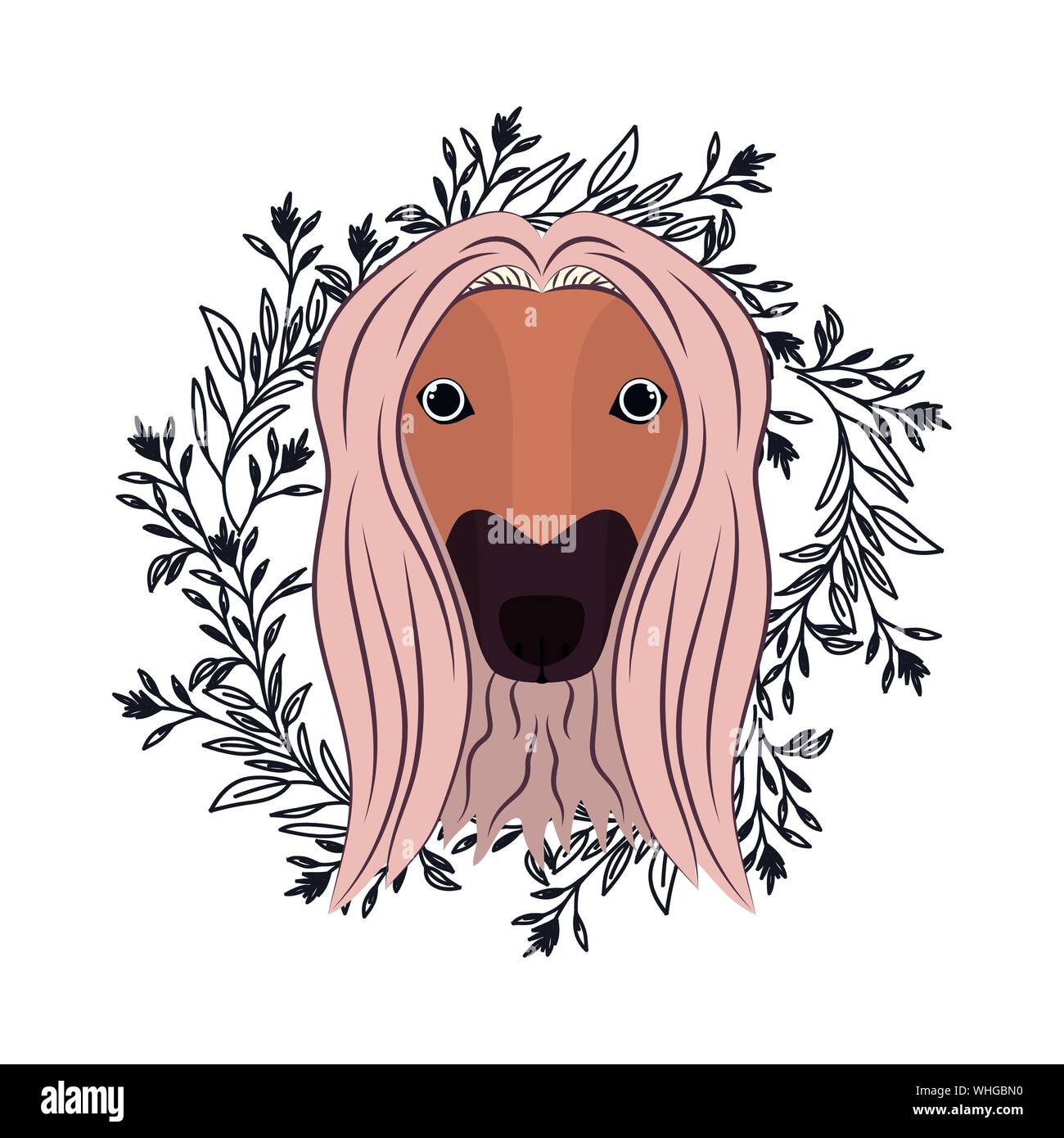 head of cute galgo afgano dog on white background Stock Vector Image ...