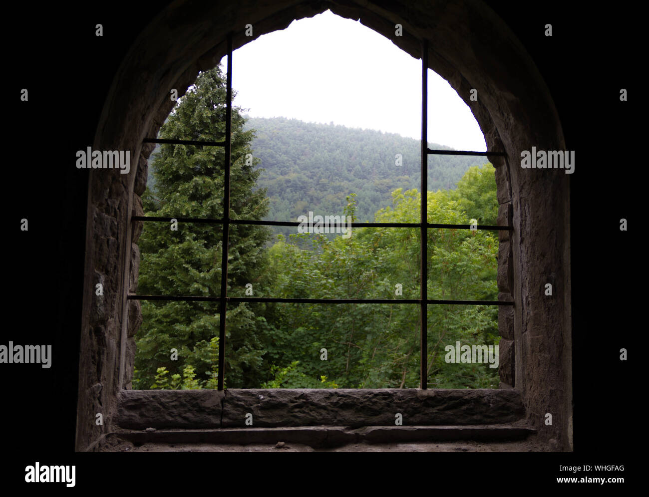 Forest window hi-res stock photography and images - Alamy
