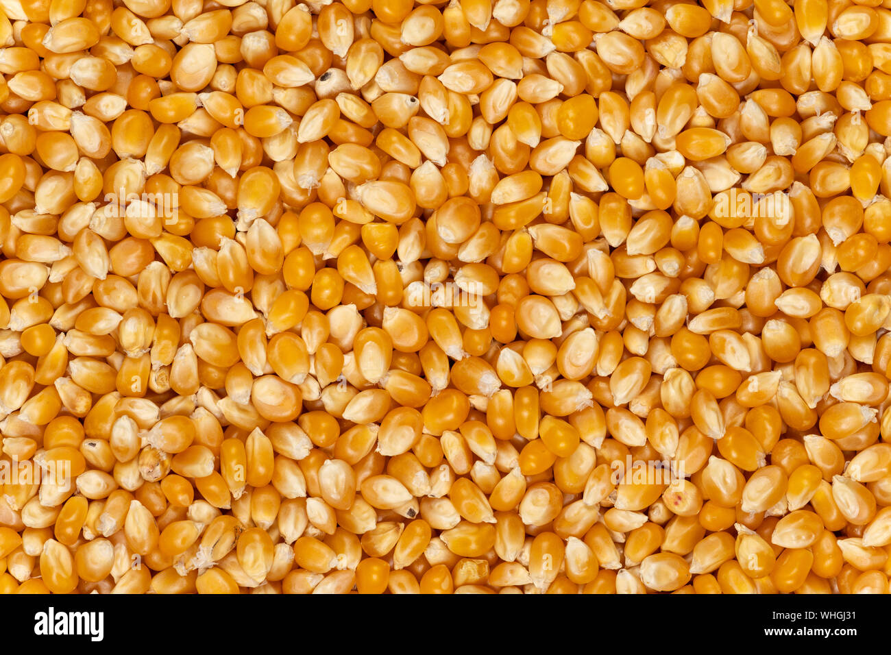 Close-up image of popping popcorn background Stock Photo - Alamy