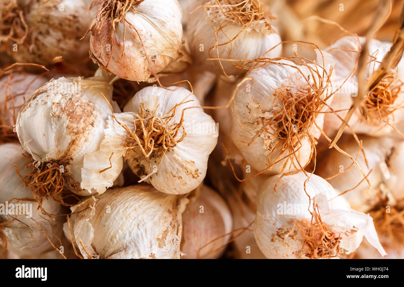 Cluster of organic dried garlic on a concrete surfacce Stock Photo - Alamy