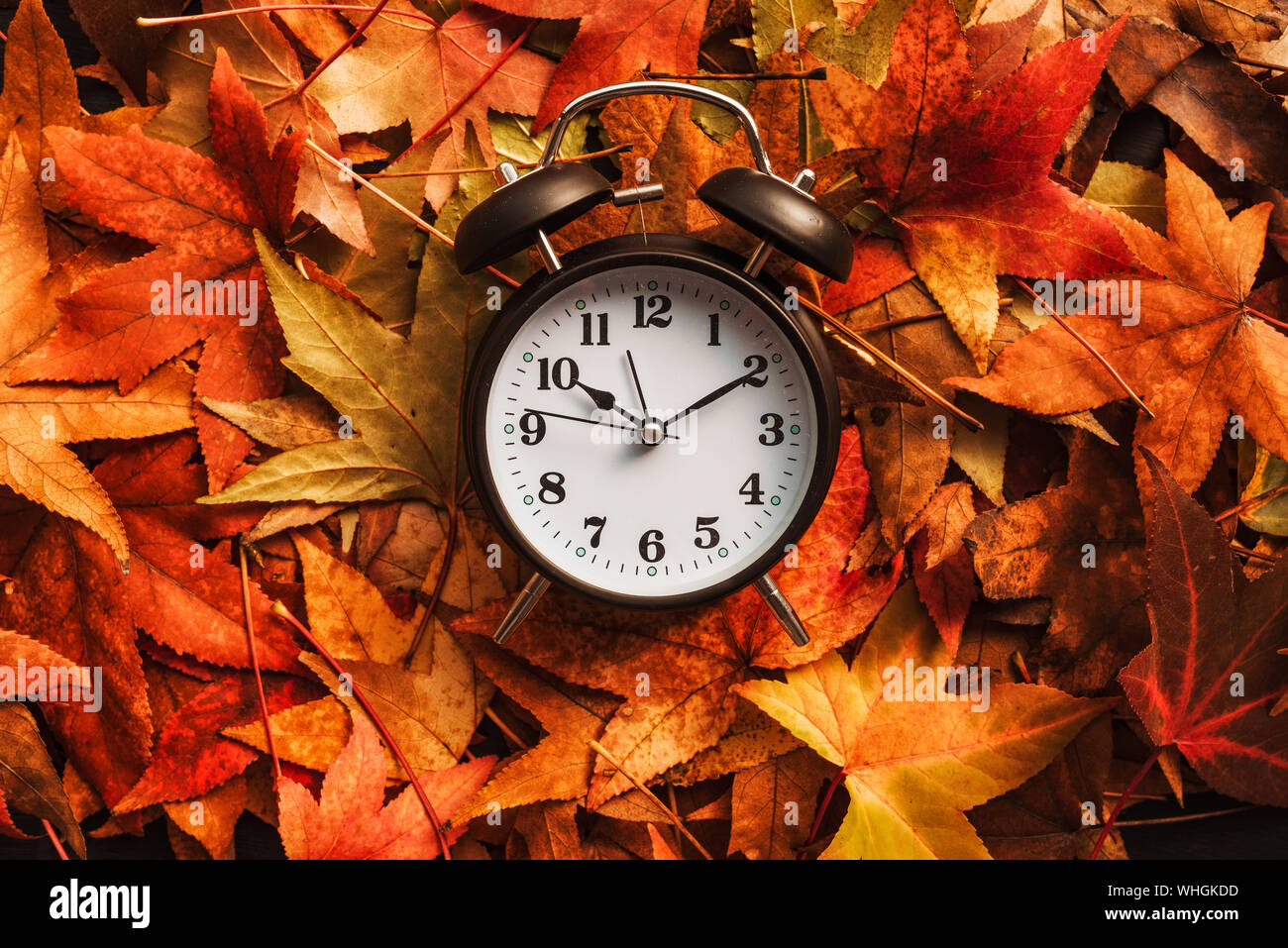Autumn season time, retro vintage alarm clock in dry fall leaves ...
