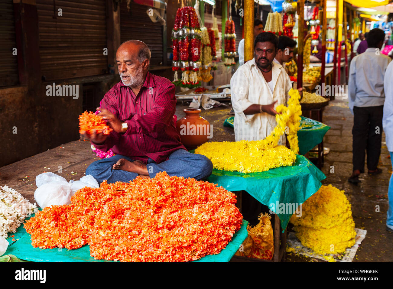 Goa flower india asia hi-res stock photography and images - Alamy