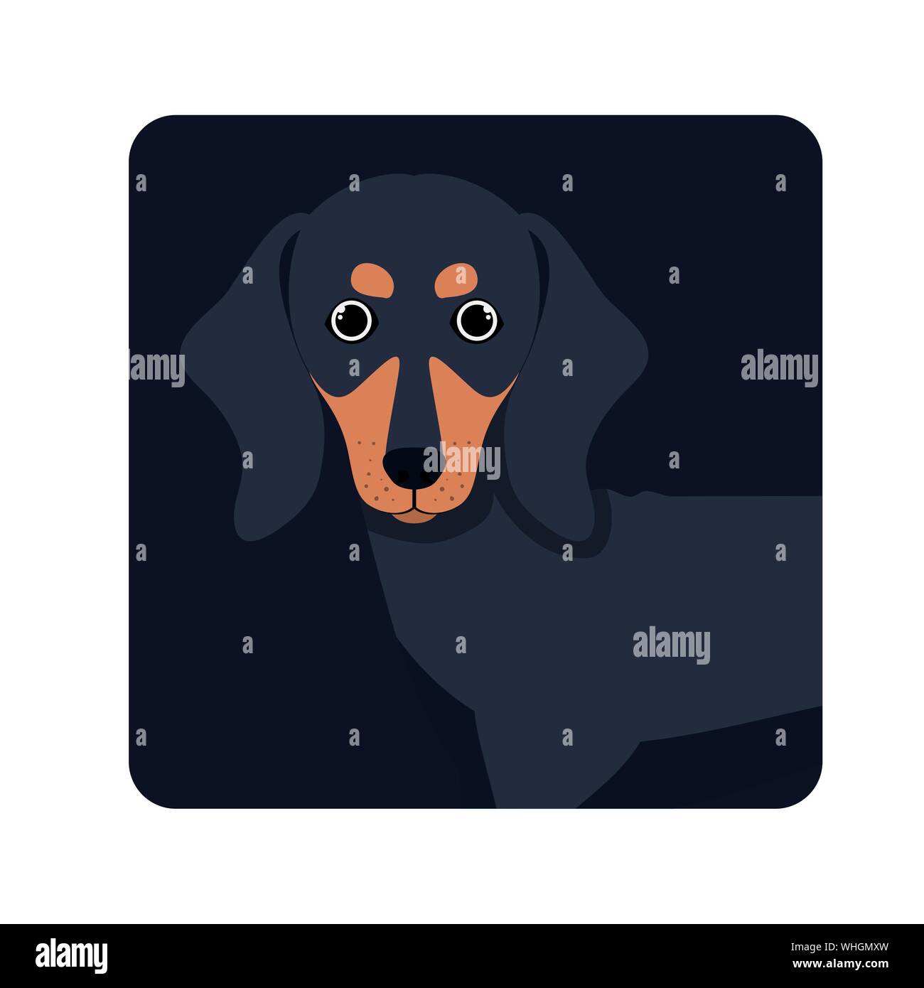 cute dachshund dog on white background Stock Vector Image & Art - Alamy