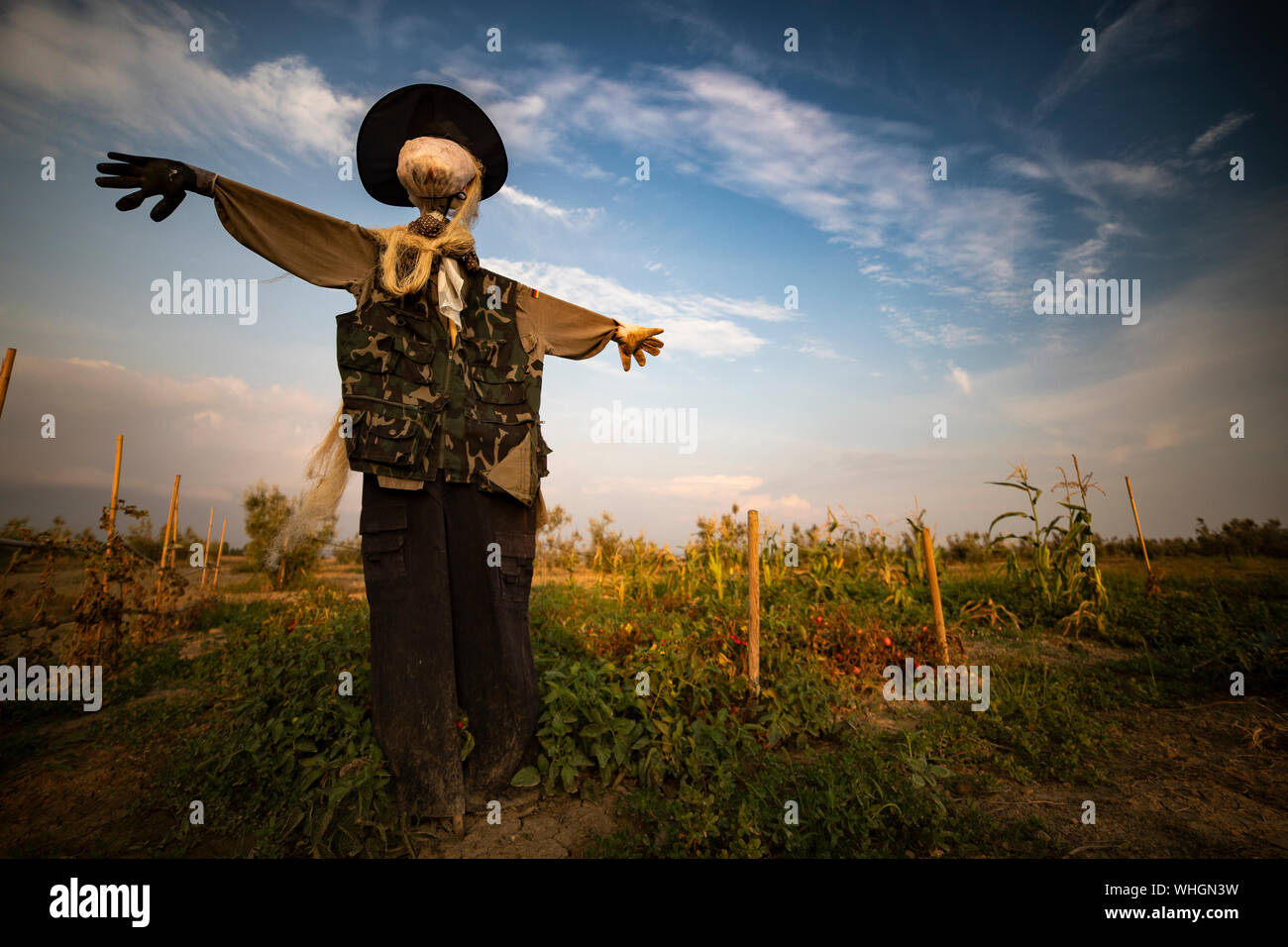 Scarecrow blue sky hi-res stock photography and images - Alamy