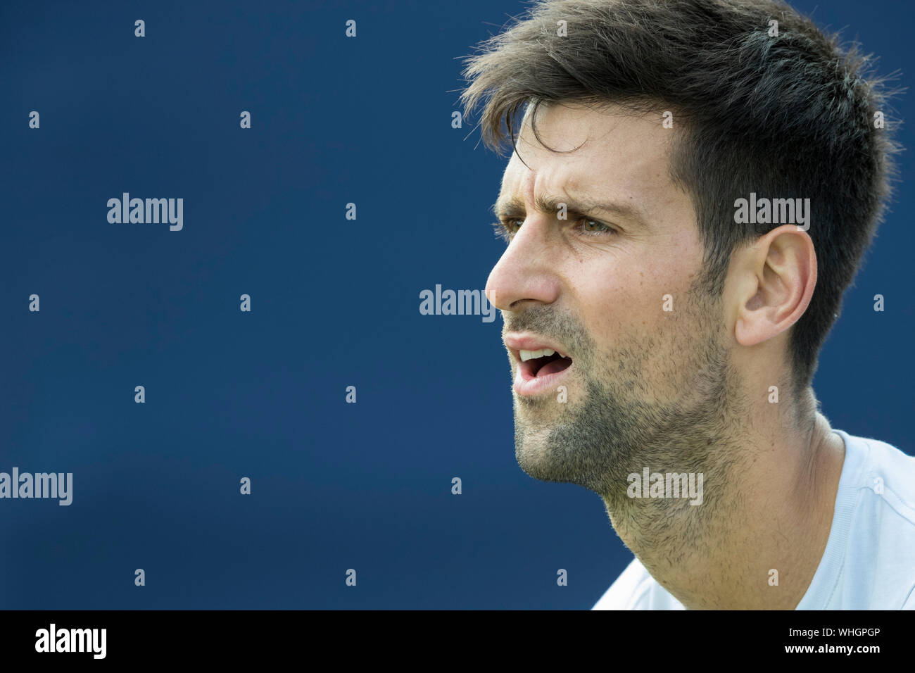 Profile picture icons hi-res stock photography and images - Alamy