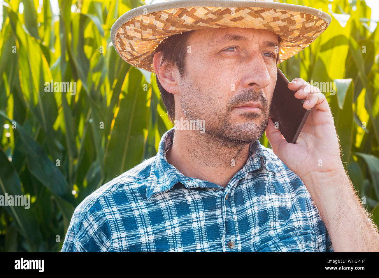 Handsome farmer hi-res stock photography and images - Alamy