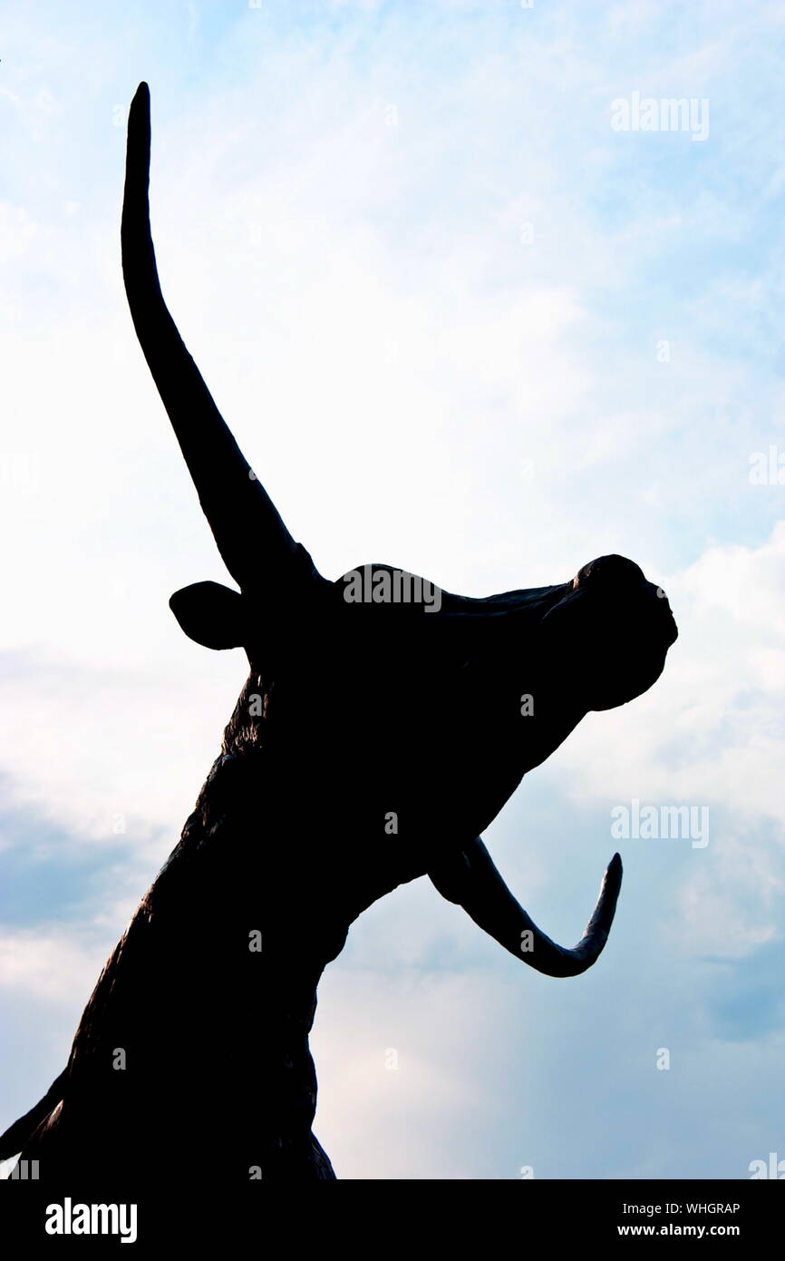 Bull Head Statue High Resolution Stock Photography and Images - Alamy