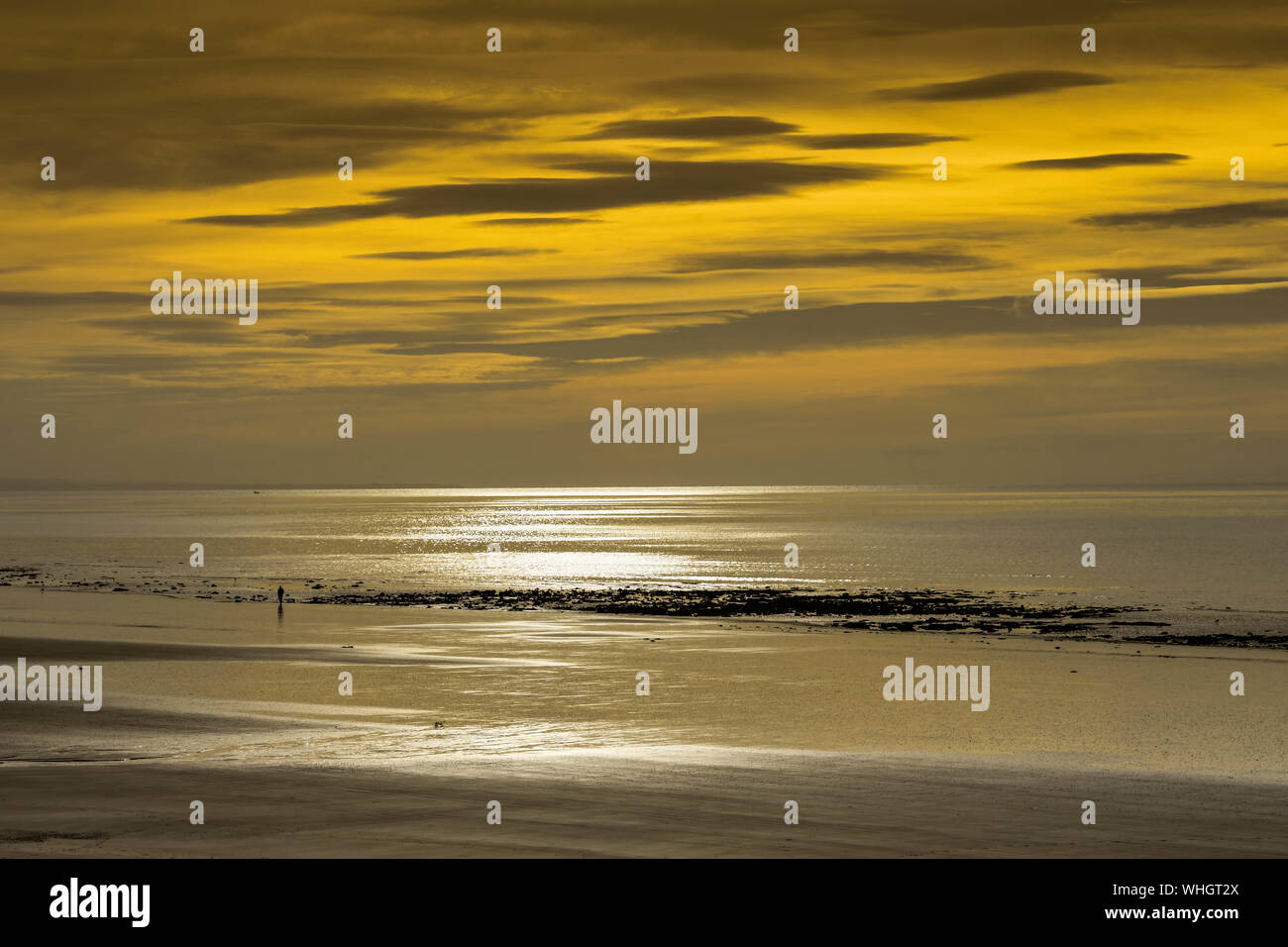 Golden tide hi-res stock photography and images - Alamy