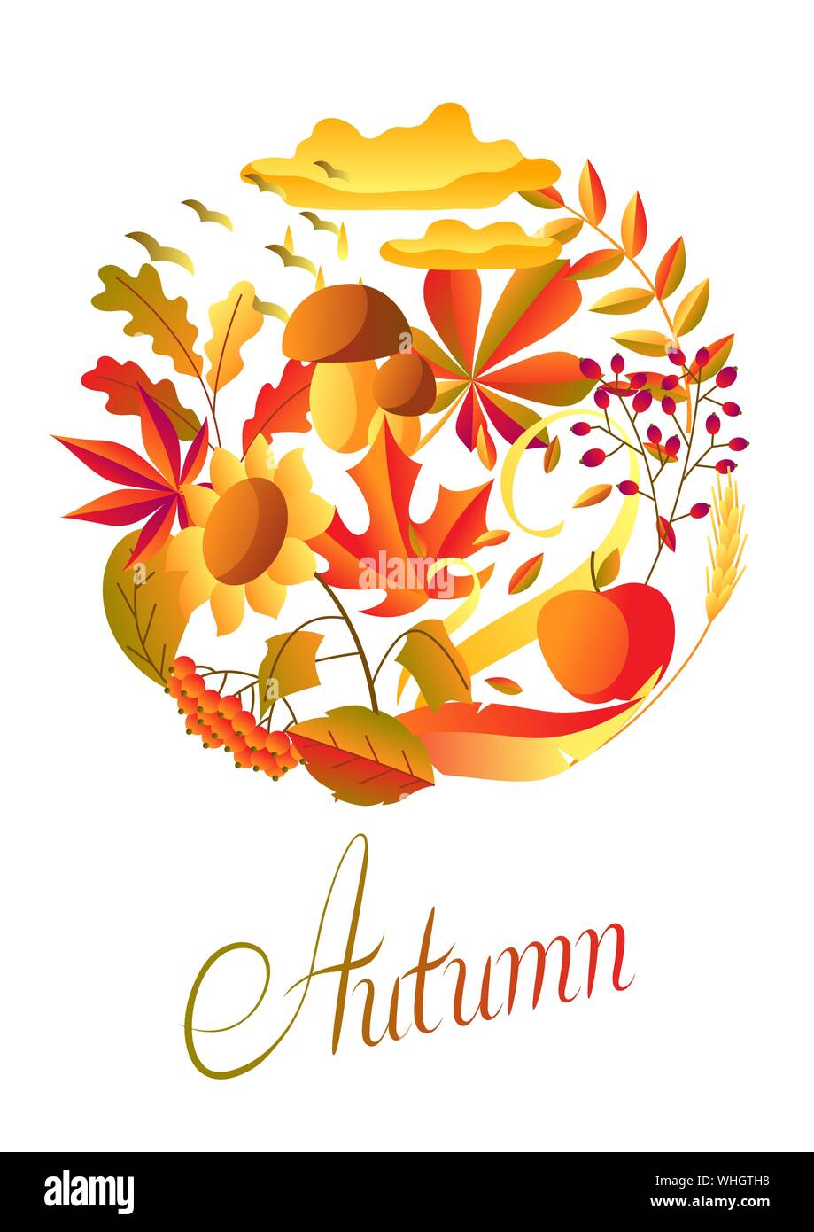 Rowan tree berries Stock Vector Images - Alamy