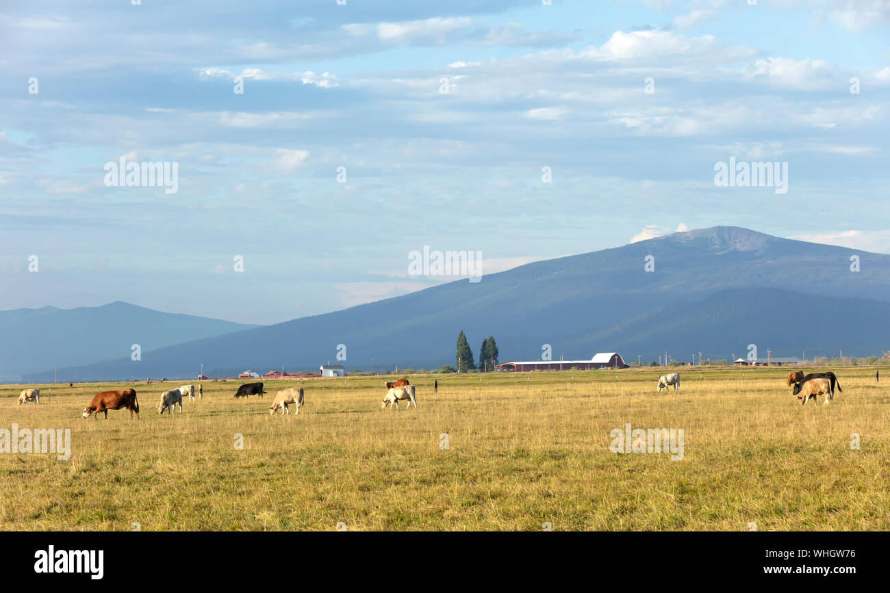 Fort klamath oregon hi-res stock photography and images - Alamy