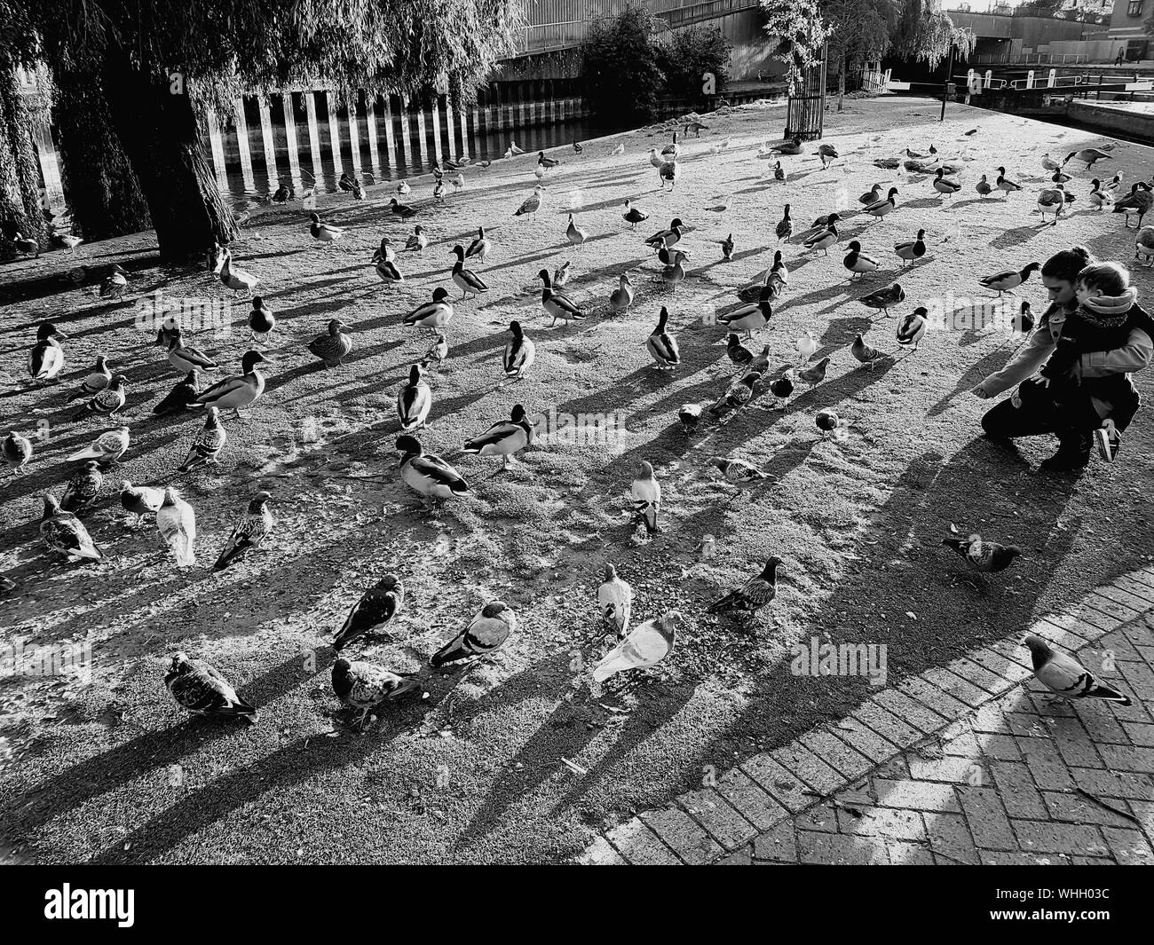 High angle birds view Black and White Stock Photos & Images - Alamy