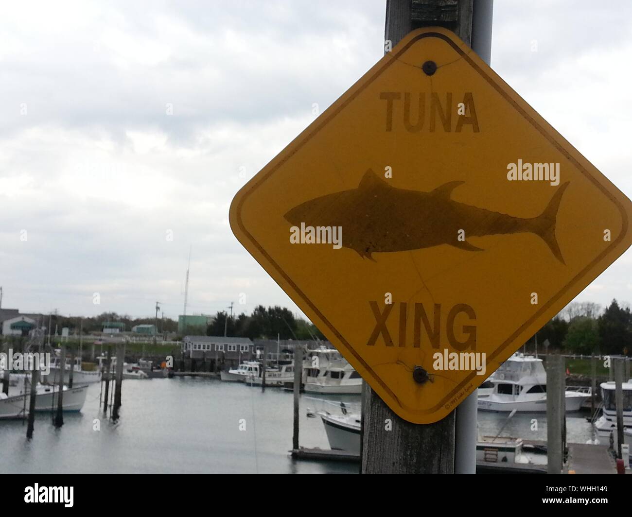 Sign signboard fish hi-res stock photography and images - Alamy