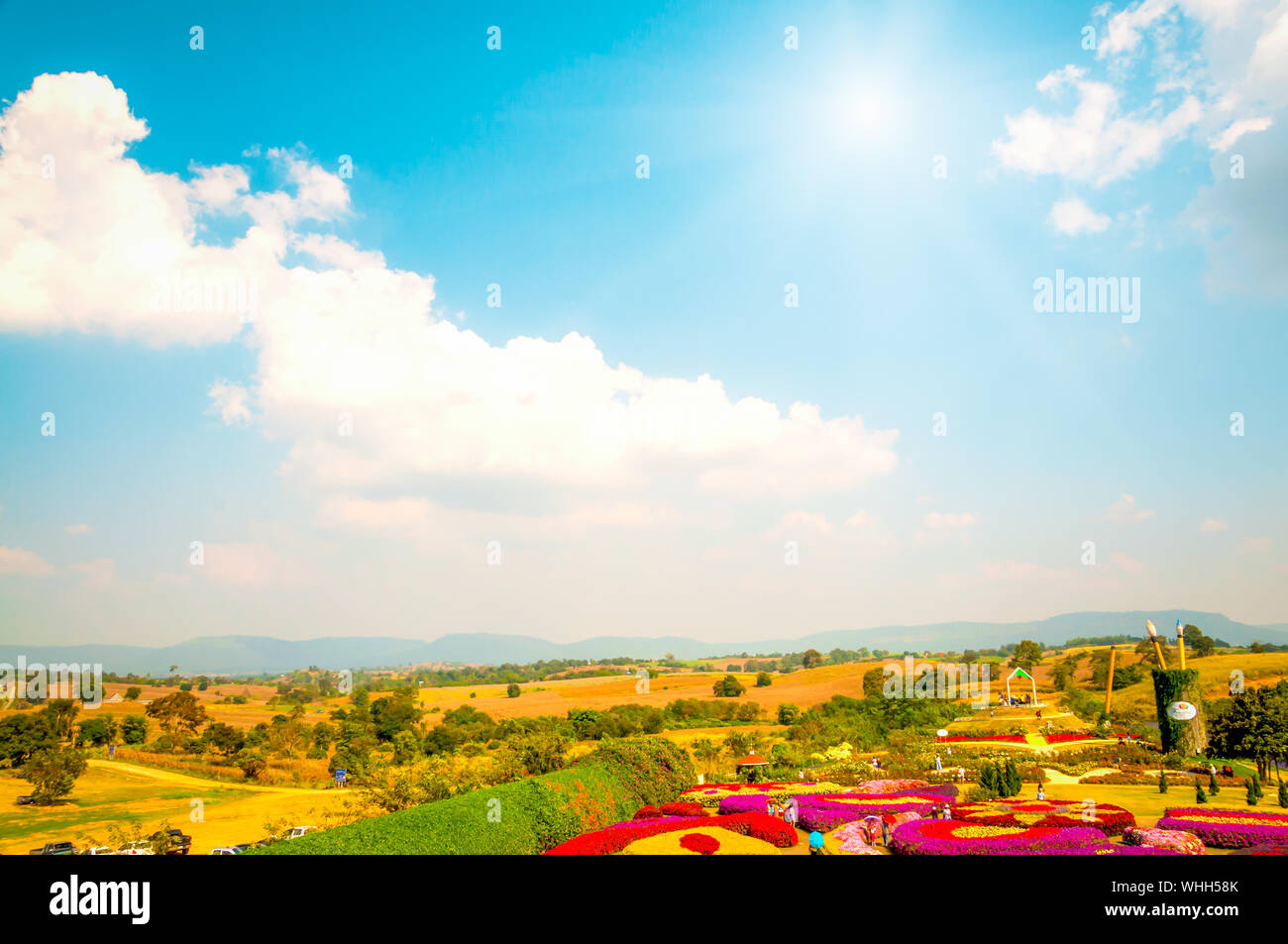 Multi colored trees hi-res stock photography and images - Alamy