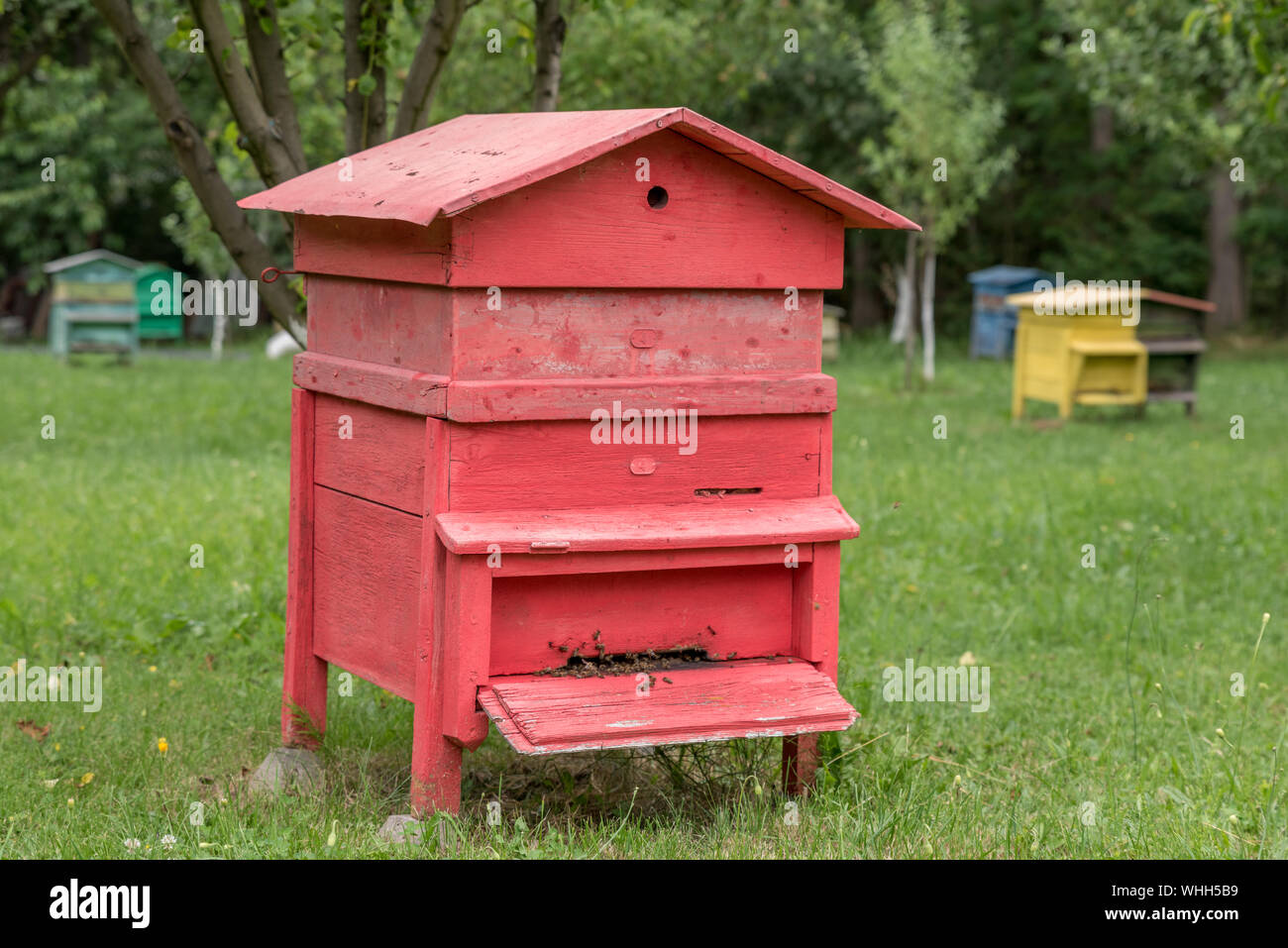 Beehive box High Resolution Stock Photography and Images - Alamy