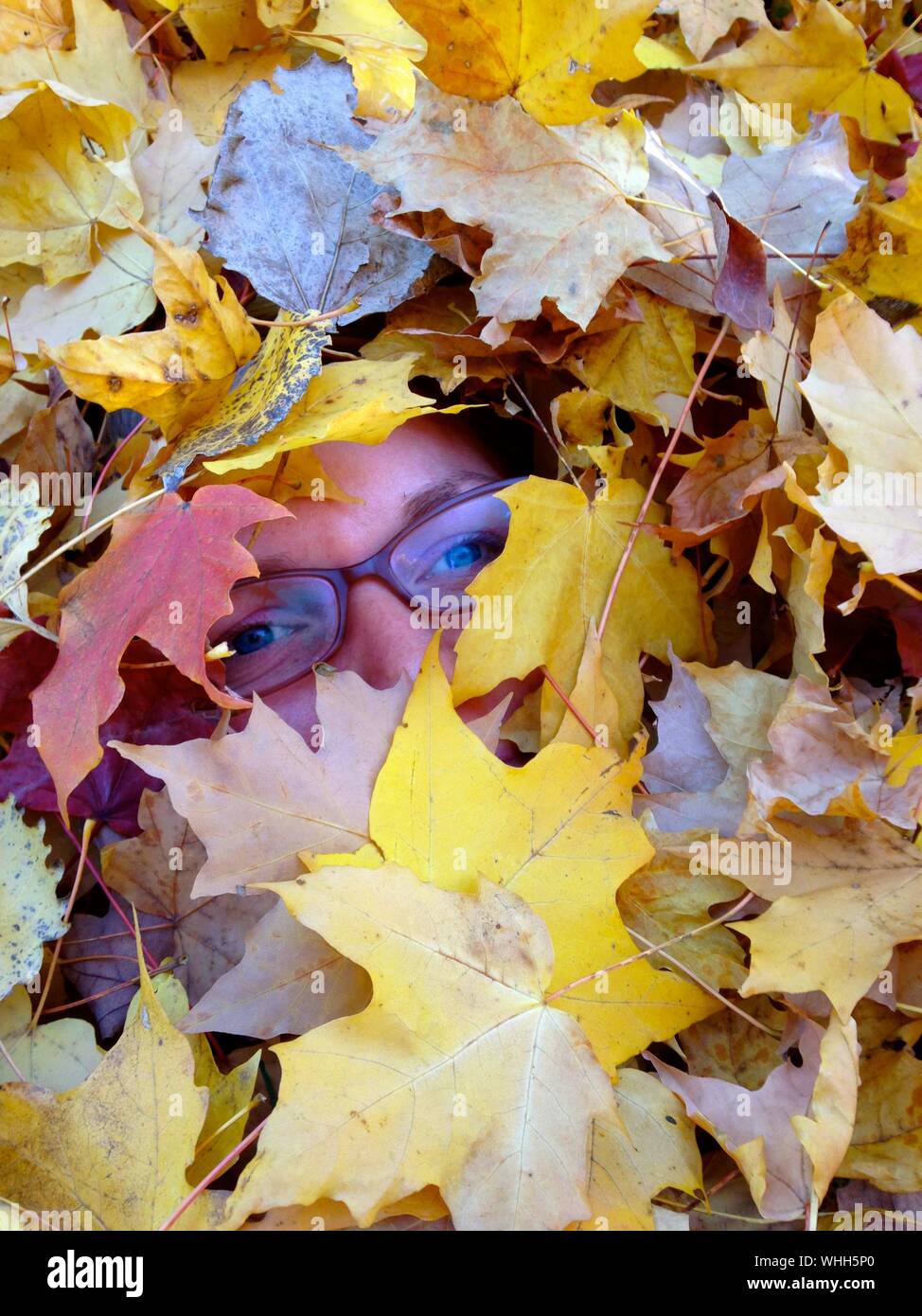 Hiding under leaf hi-res stock photography and images - Alamy