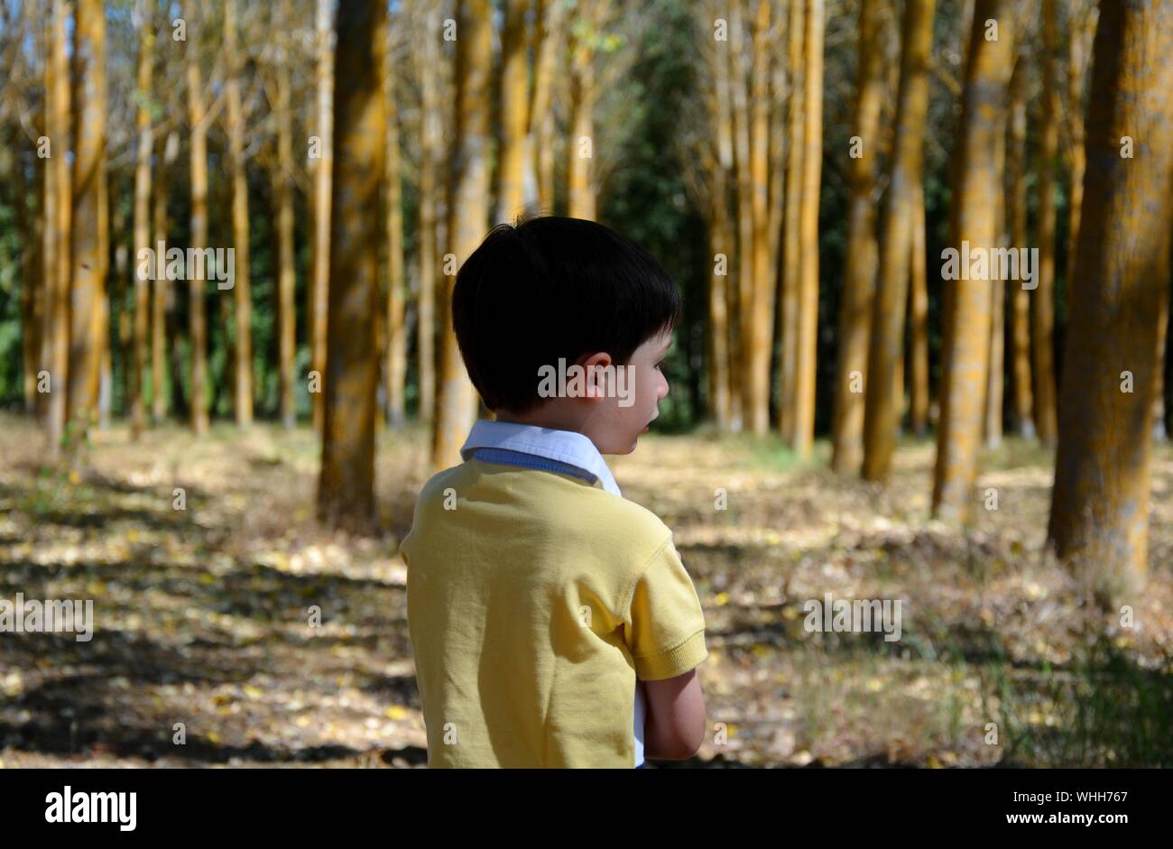 Boy Standing Against Trees In Forest Stock Photo - Alamy