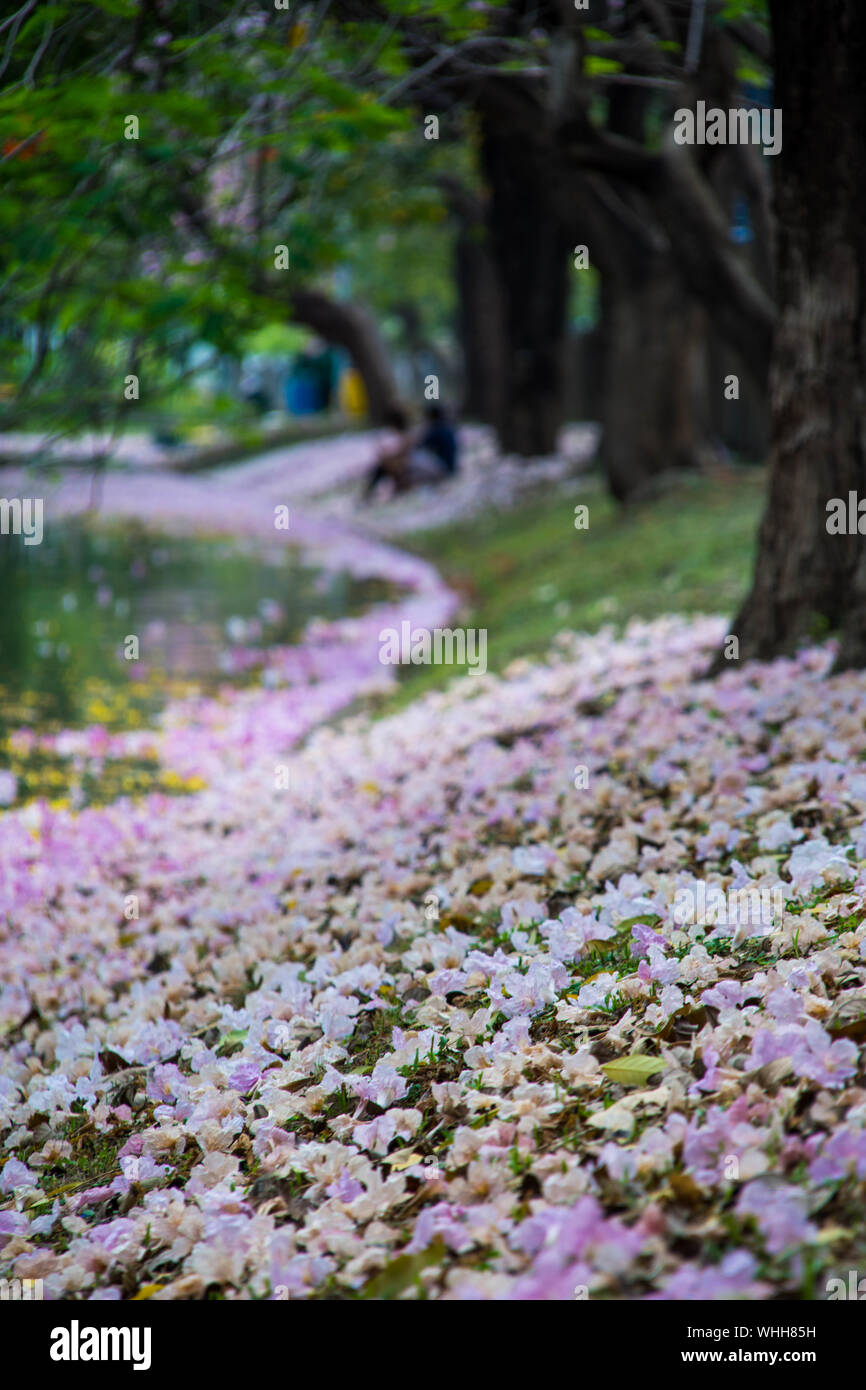 Floating people falling hi-res stock photography and images - Alamy
