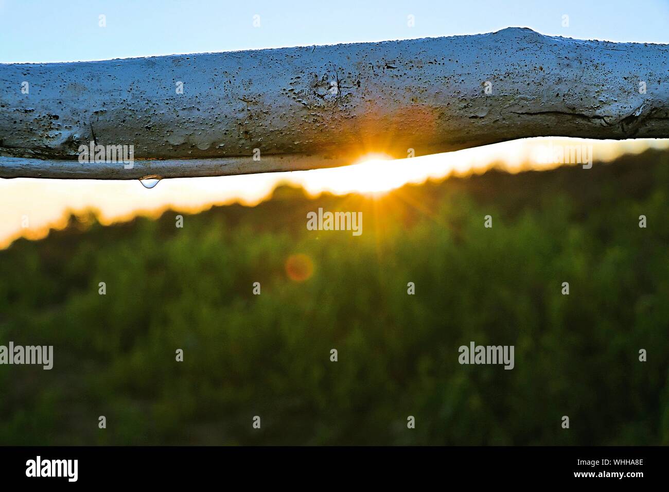 Drops sun hi-res stock photography and images - Alamy