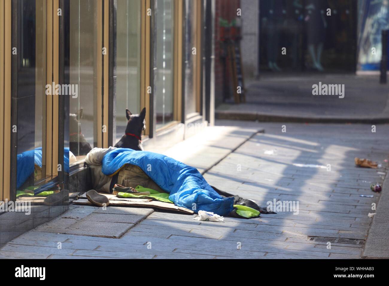 Homeless man dog hi-res stock photography and images - Alamy
