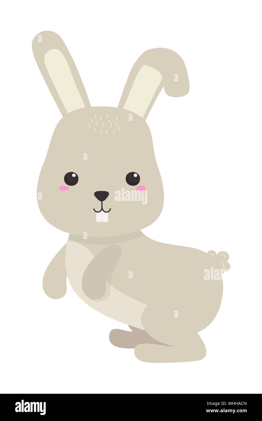 Rabbit cartoon design, Animal cute zoo life nature and fauna theme ...