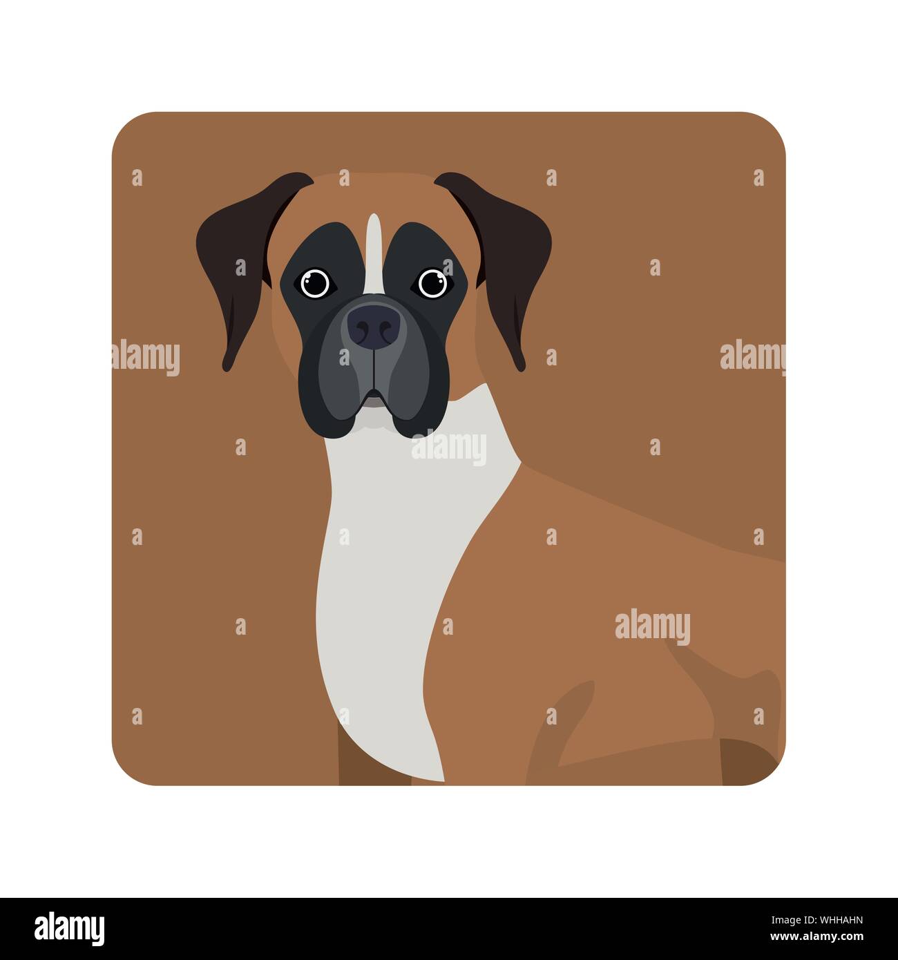 Boxer Dog Cartoon Illustration High Resolution Stock Photography and ...