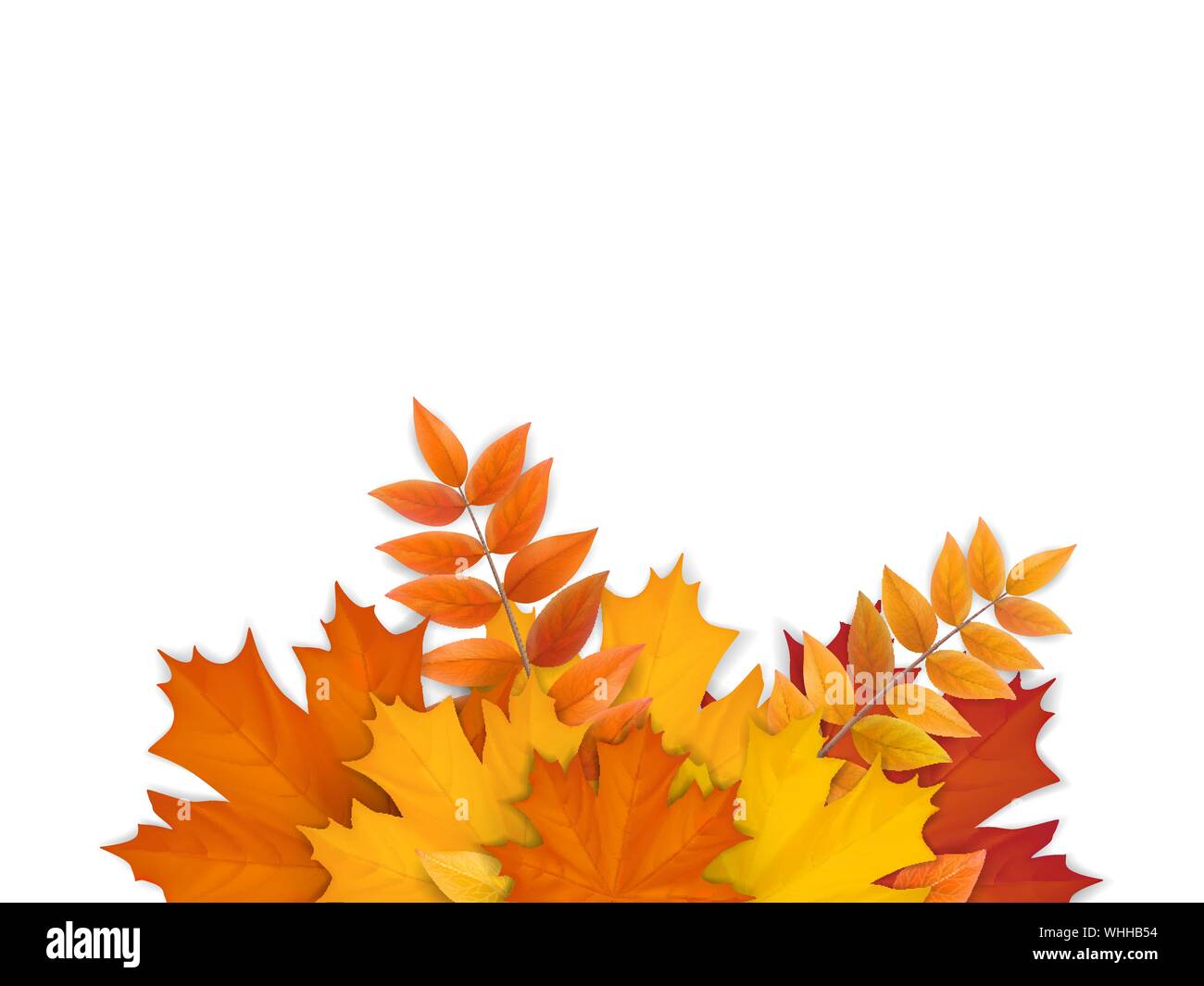 Image fallen autumn leaves Stock Vector Images - Alamy
