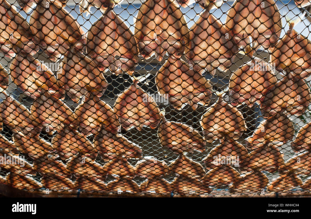 Fish Drying On Frame High Resolution Stock Photography and Images - Alamy