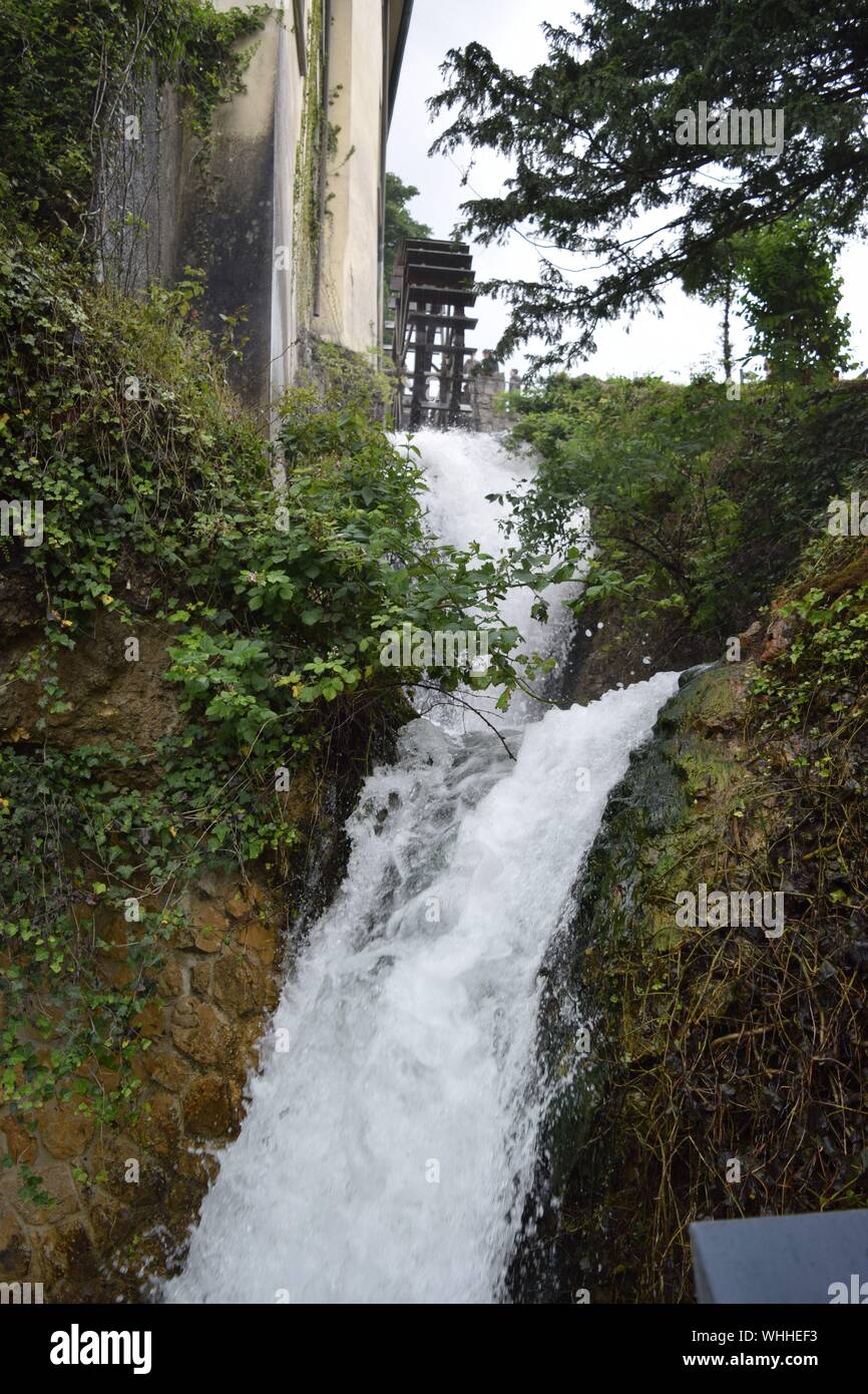Rhinefalls Switzerland The largest European waterfalls, located on ...